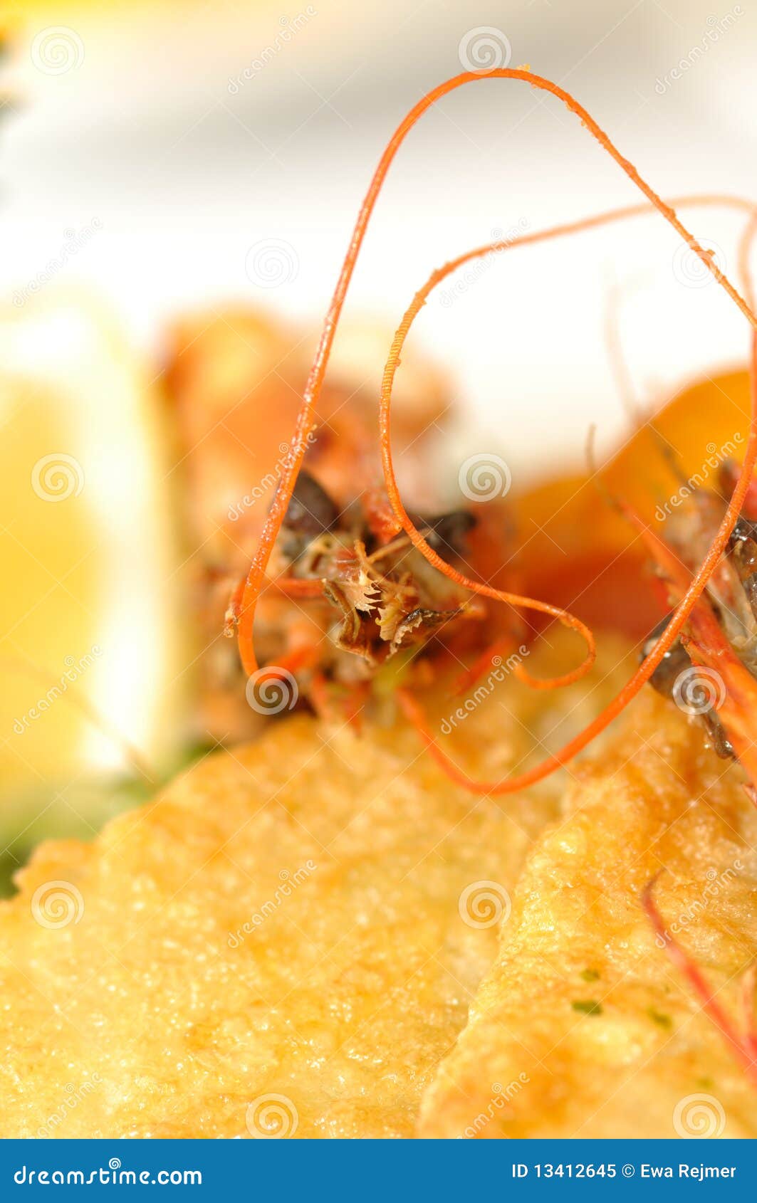 Shrimp closeup stock image. Image of closeup, macro, tiger - 13412645