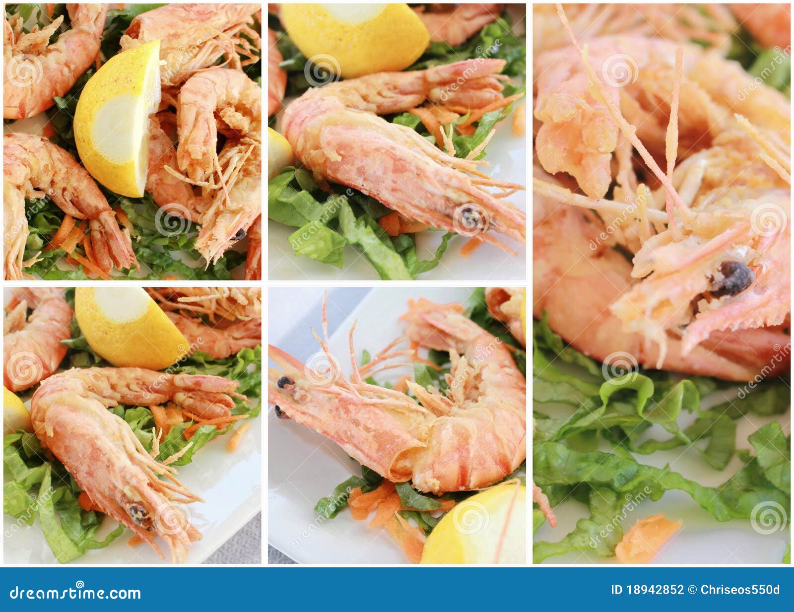 Shrimp collage stock photo. Image of life, shrimps, delicious - 18942852