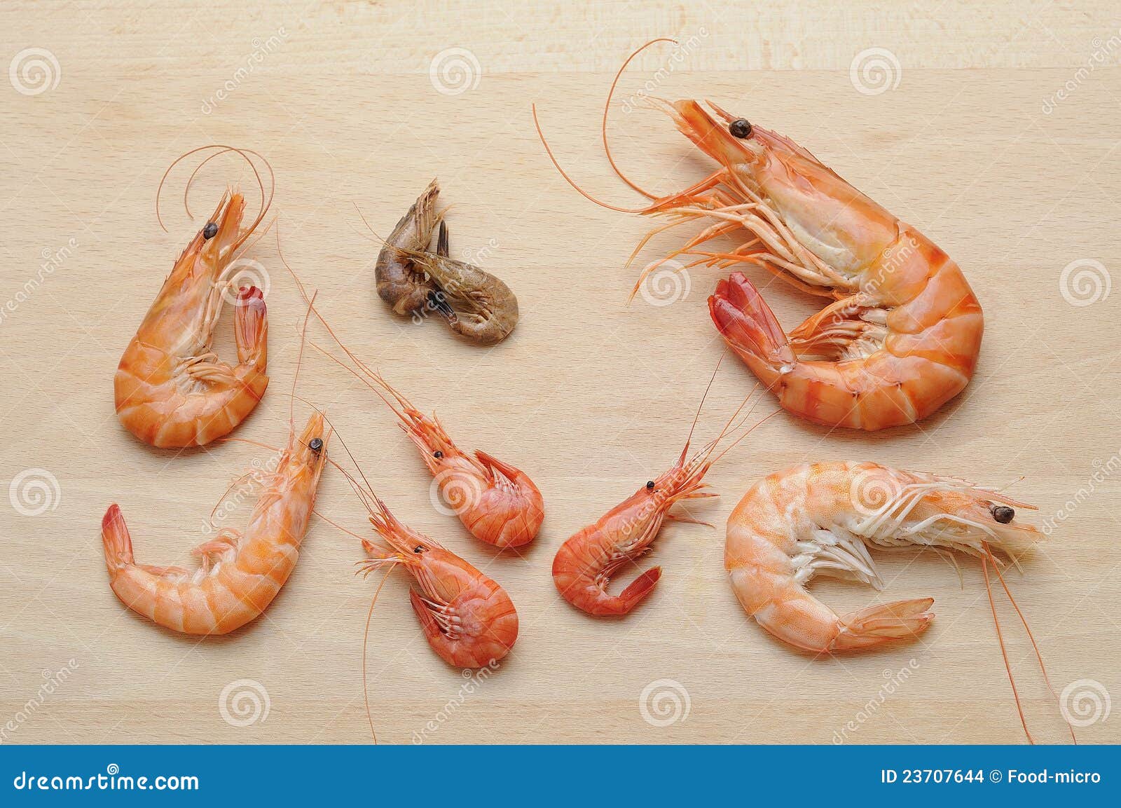 Shrimp composition stock photo. Image of color, shellfish - 23707644