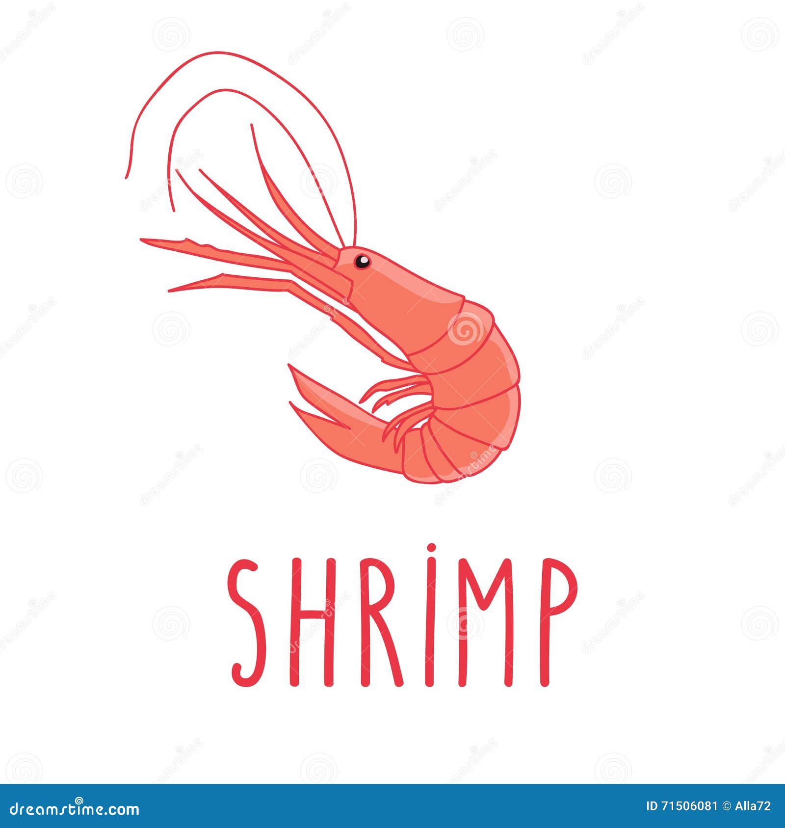 Shrimp. Cute Vector Illustration Isolated on White Background Stock ...