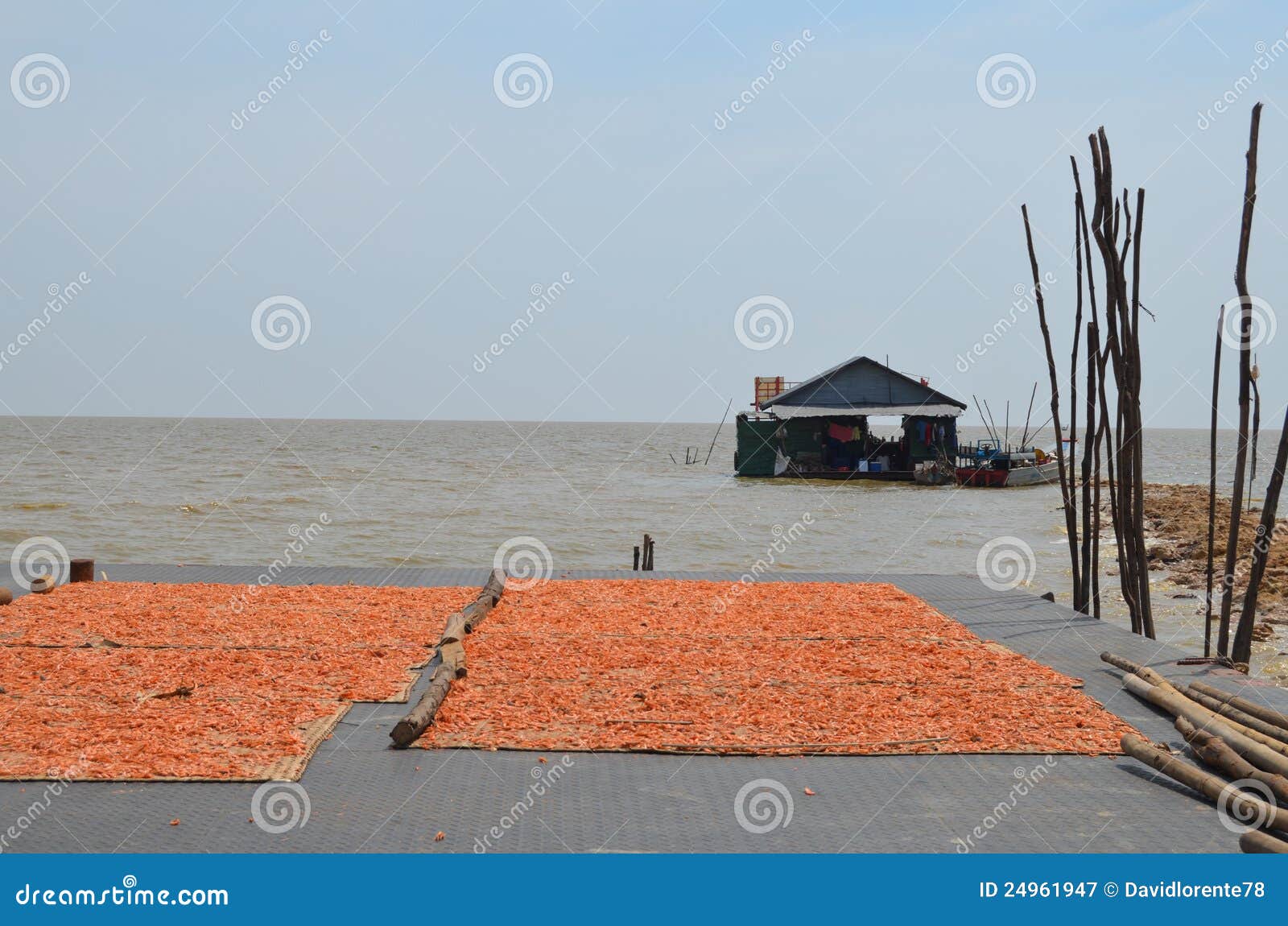 Shrimp Drying in the Sun in a Floating Village Stock Image - Image of ...