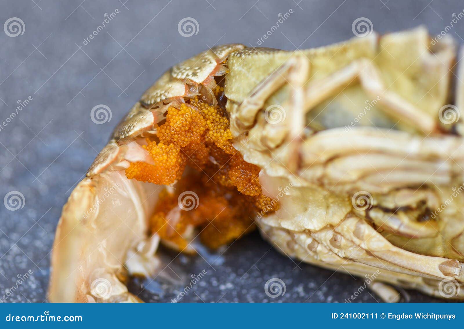 Shrimp Egg, Fresh Raw Eggs on Shrimps or Flathead Lobster, Tobiko Stock ...