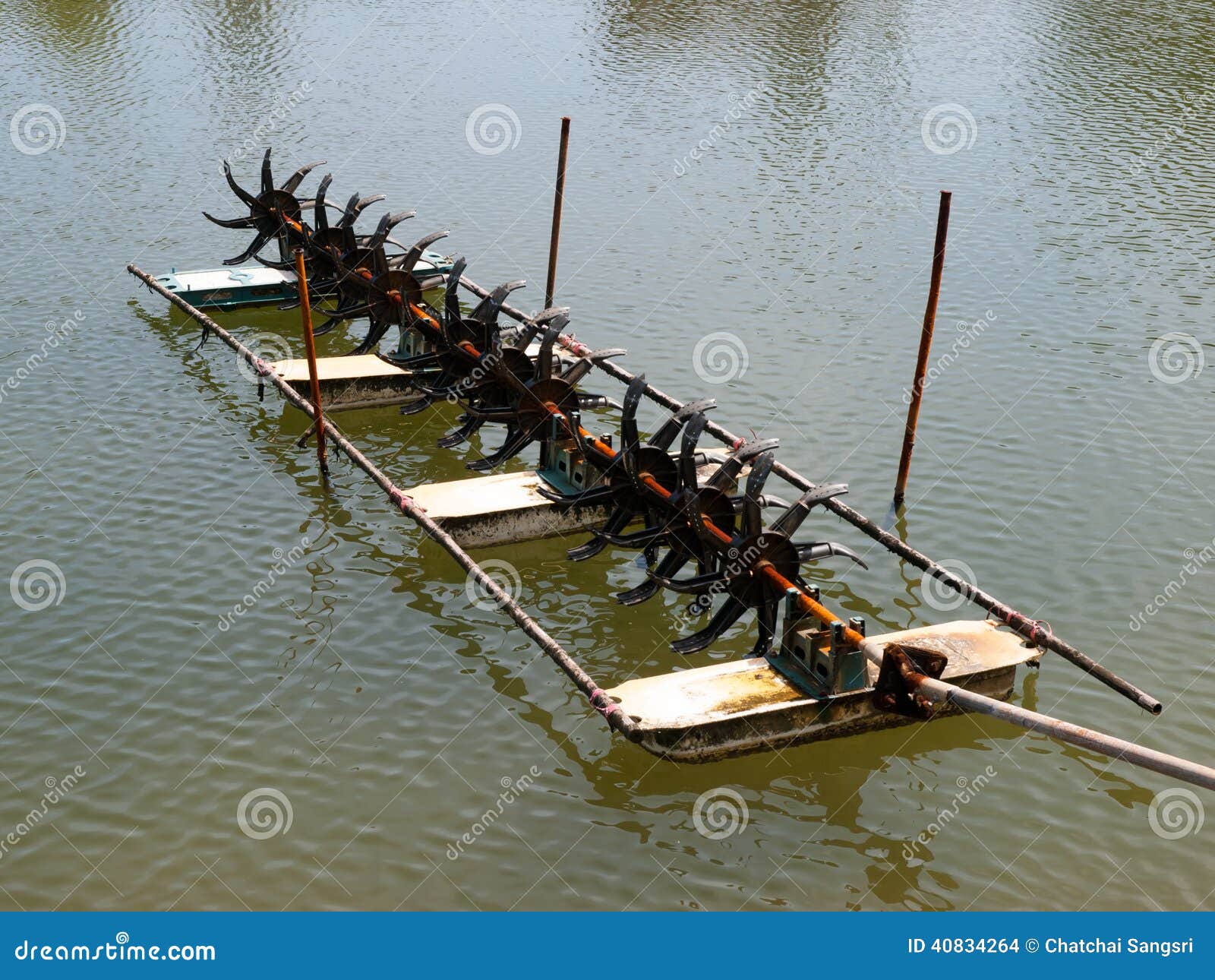 Shrimp farm stock photo. Image of rural, nature, tree - 40834264