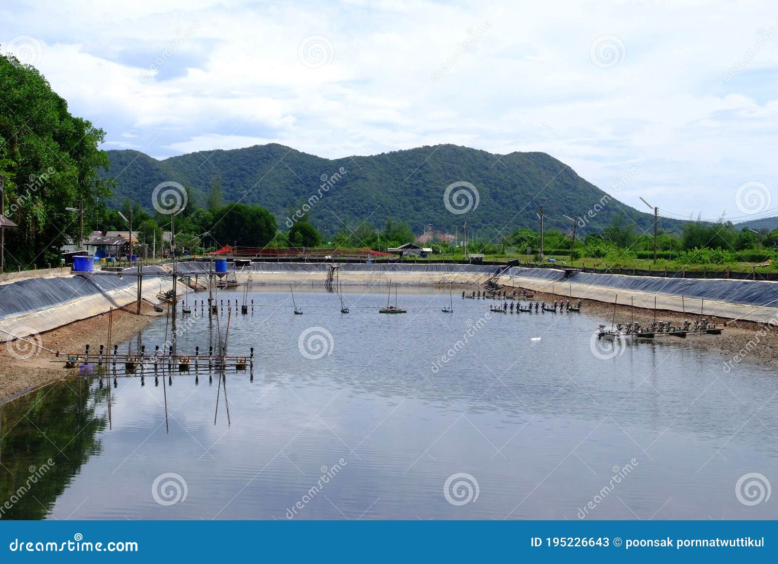 Shrimp Farm or Prawn Pond in Thailand Stock Image - Image of ...