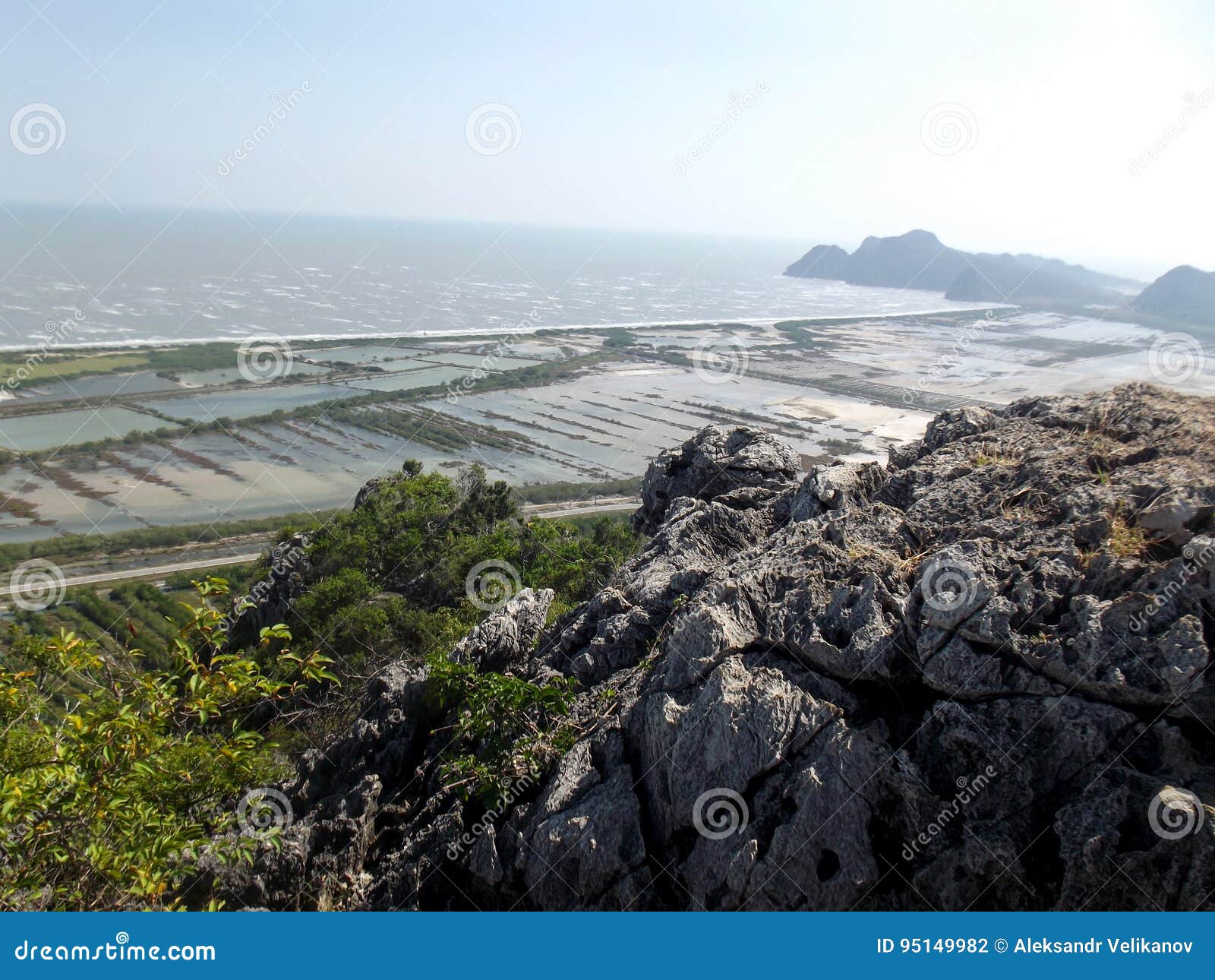 Shrimp farming ponds stock photo. Image of tourism, landscape - 95149982