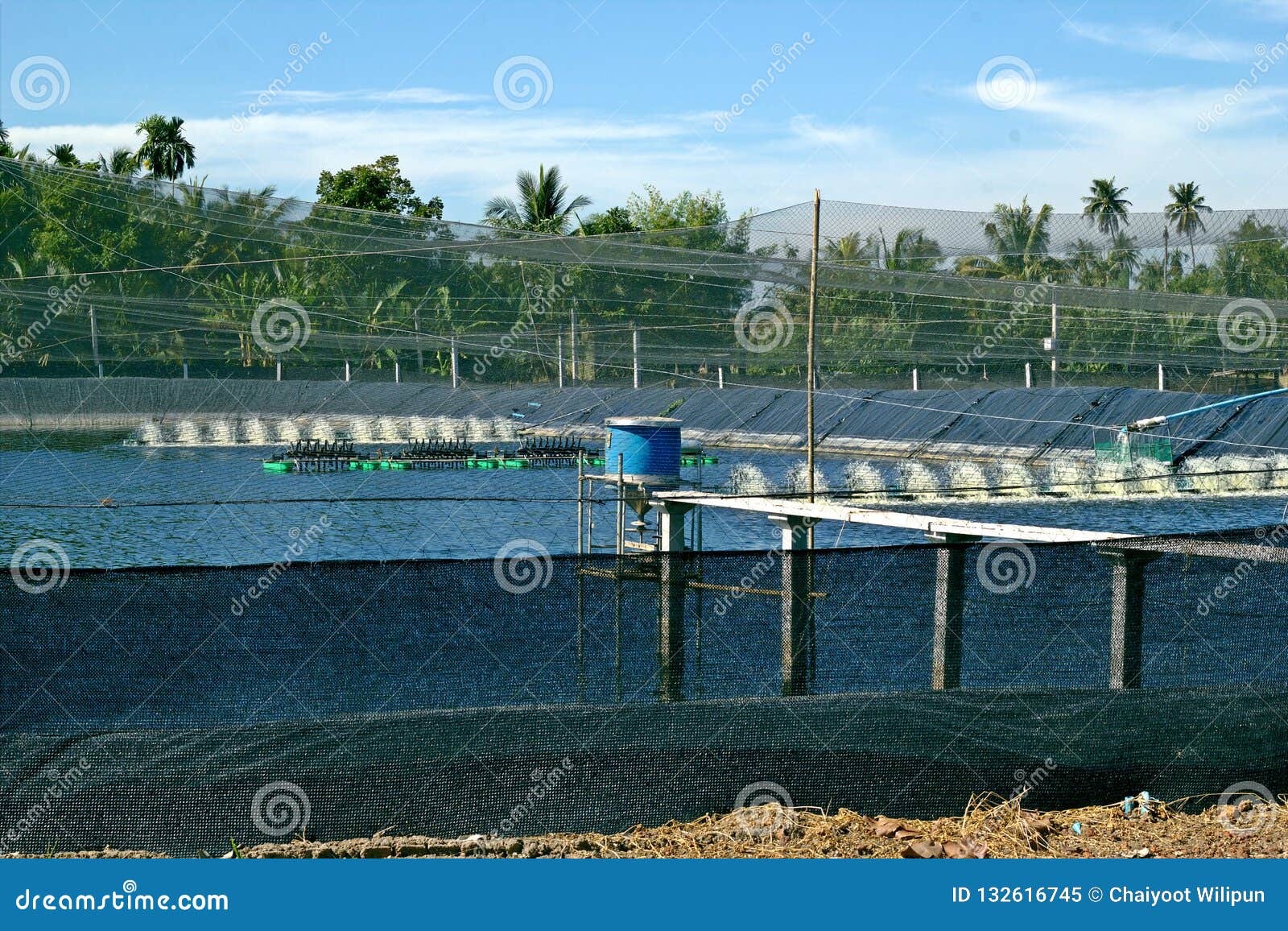 Shrimp Feeder in Outdoor Shrimp Pond Background Shrimp Pond Cloudy ...