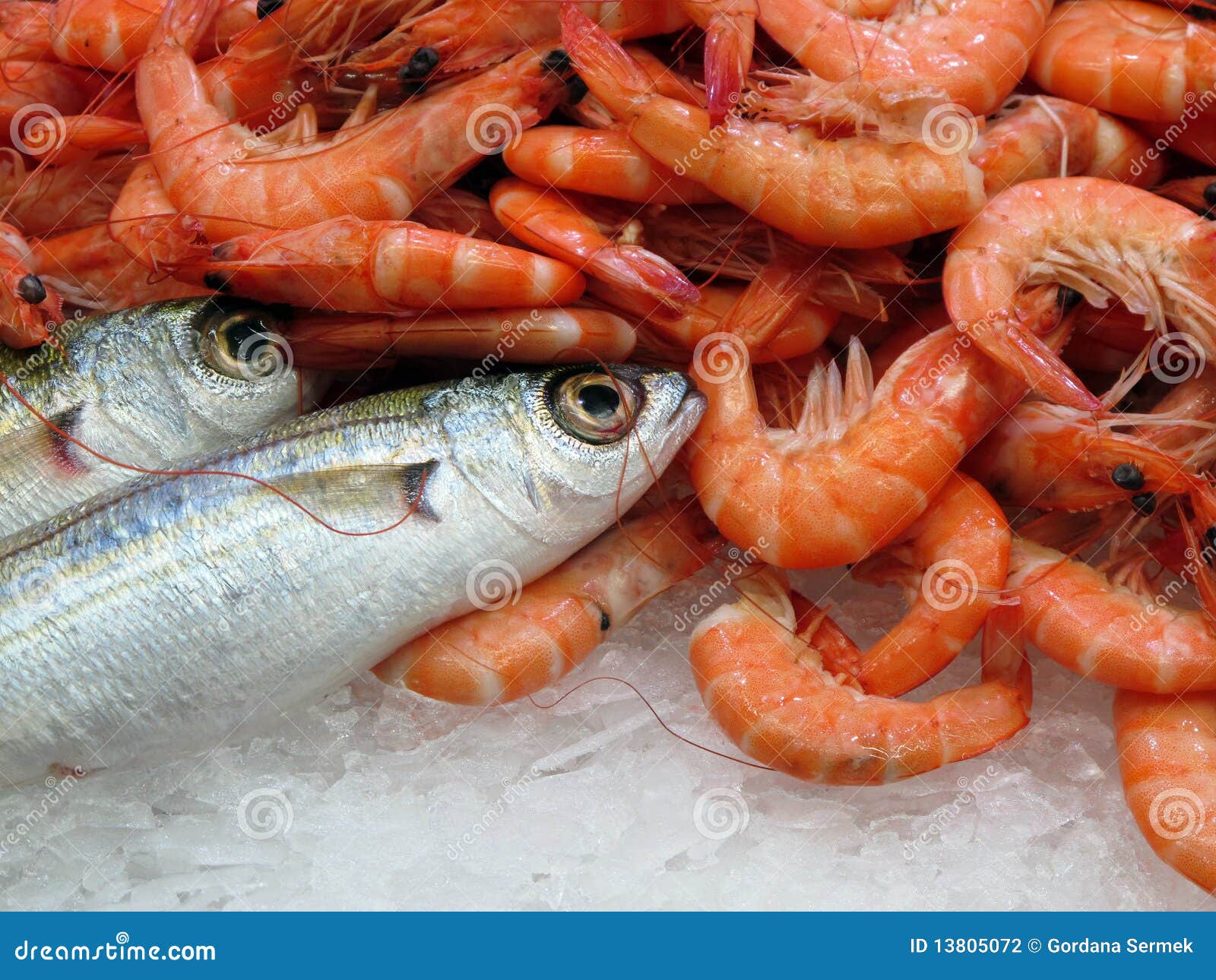 Shrimp and fish stock photo. Image of asian, fish, restaurant - 13805072