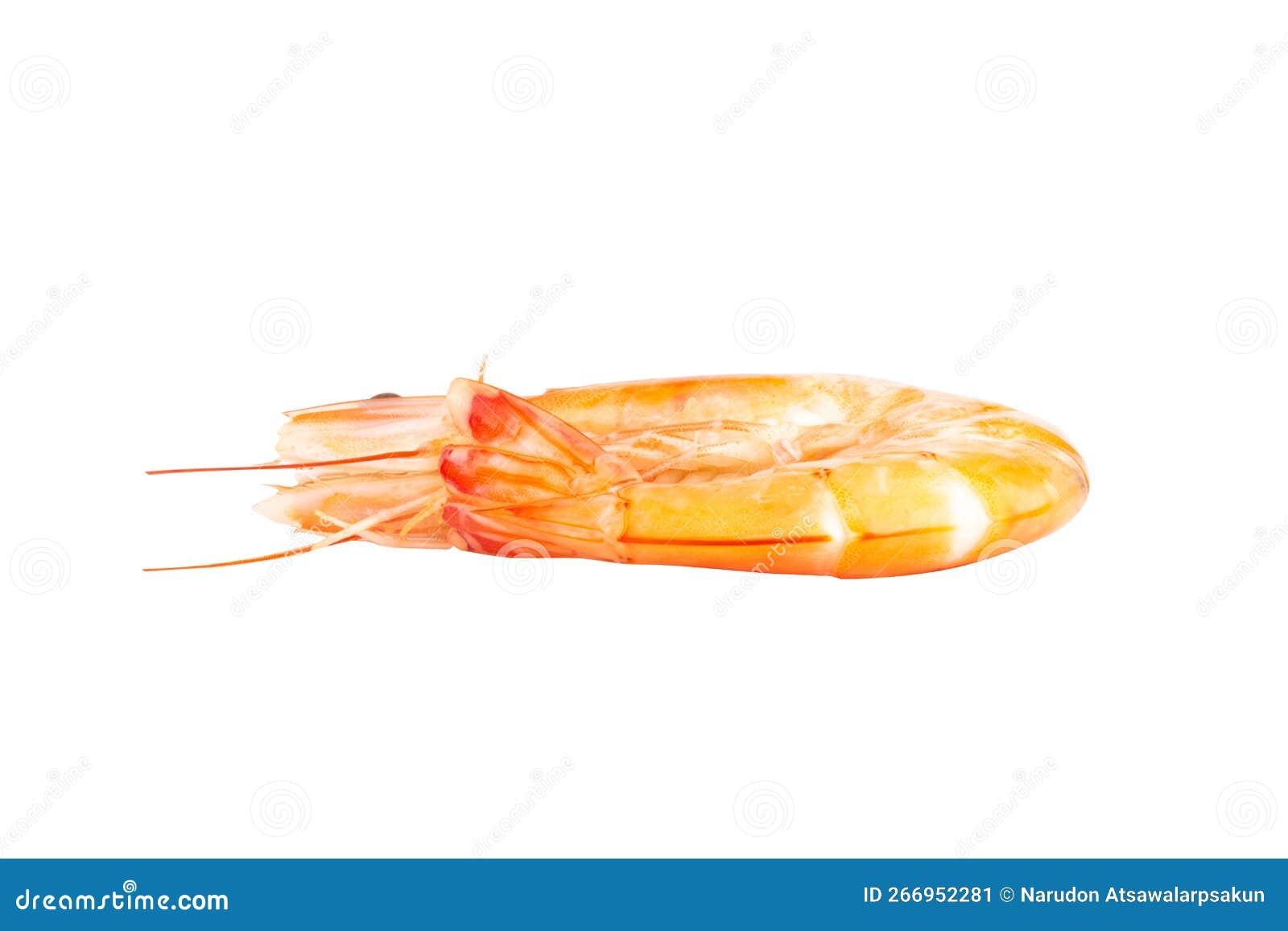 Shrimp Food Orange Shellfish Isolated on White Background Stock Image ...