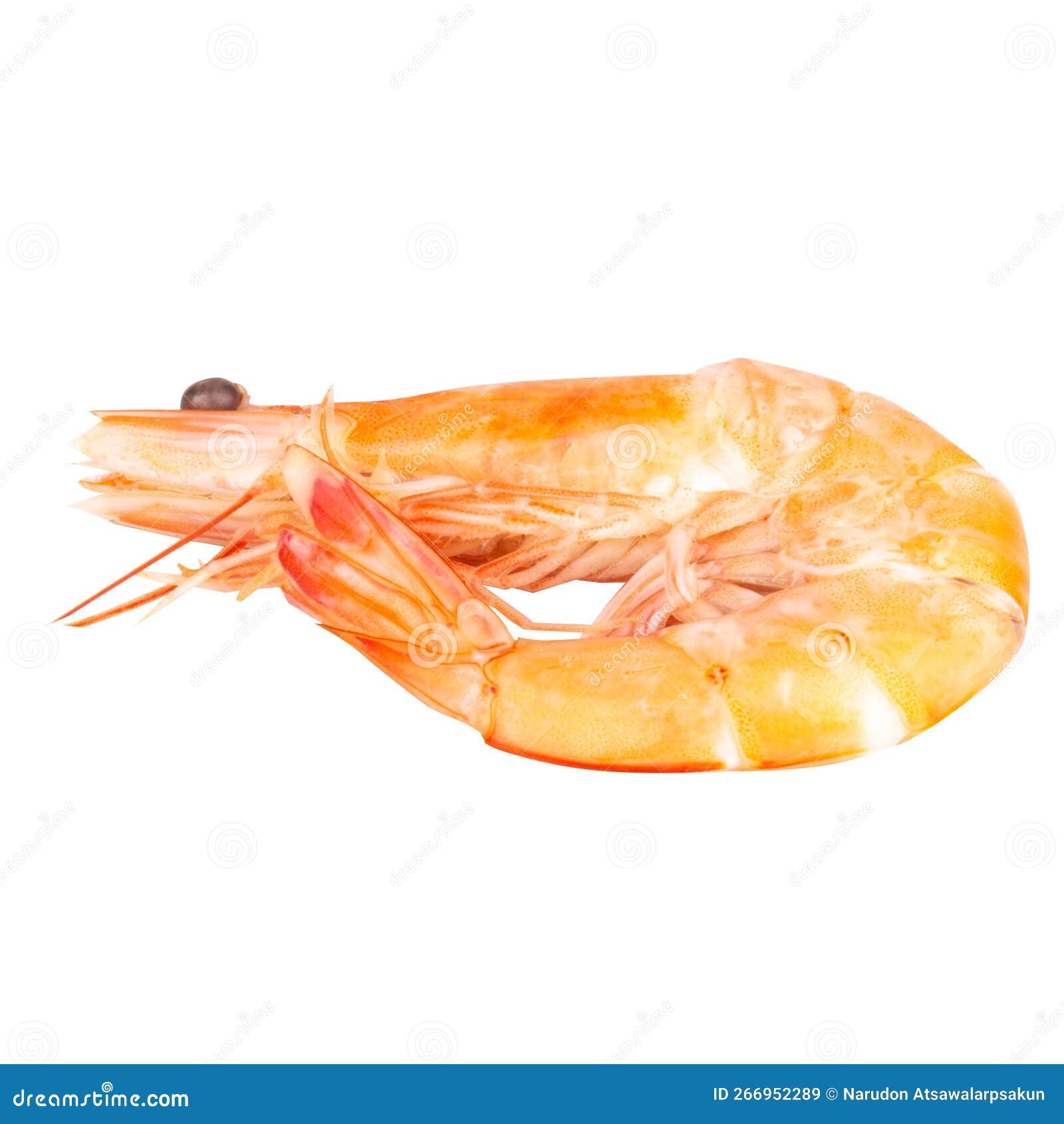Shrimp Food Orange Shellfish Isolated on White Background Stock Image ...