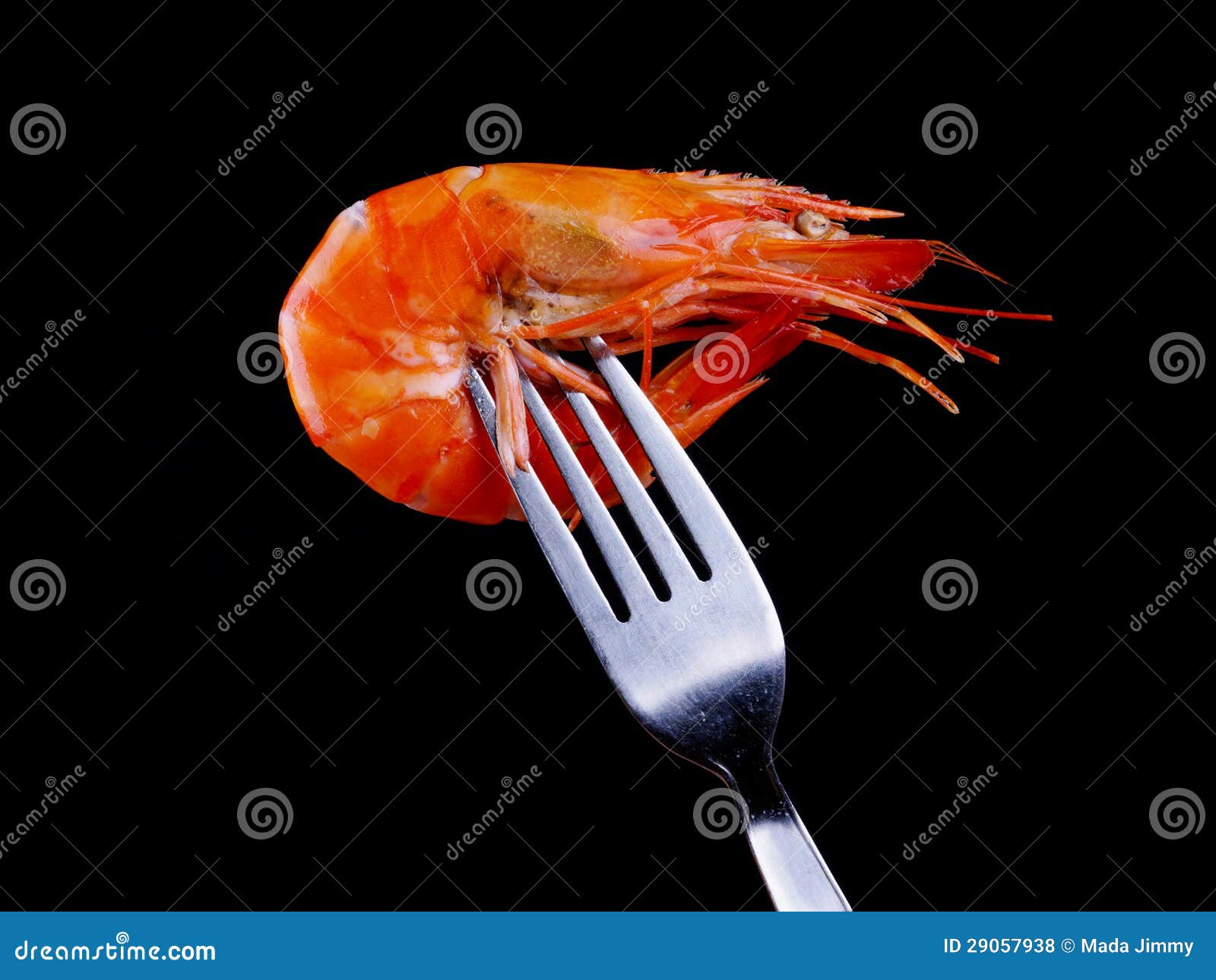 Shrimp on Fork stock photo. Image of isolated, crustacean - 29057938