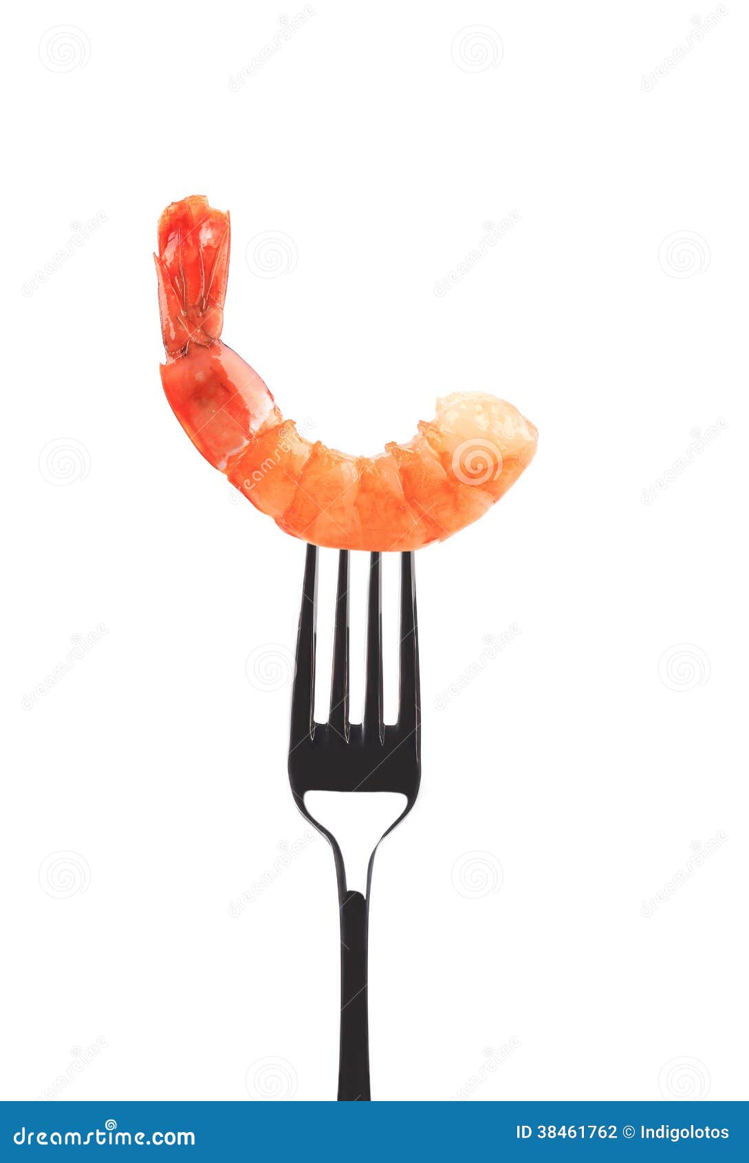 Fork Catch Angelfish In Fishbowl Royalty-Free Stock Photography ...