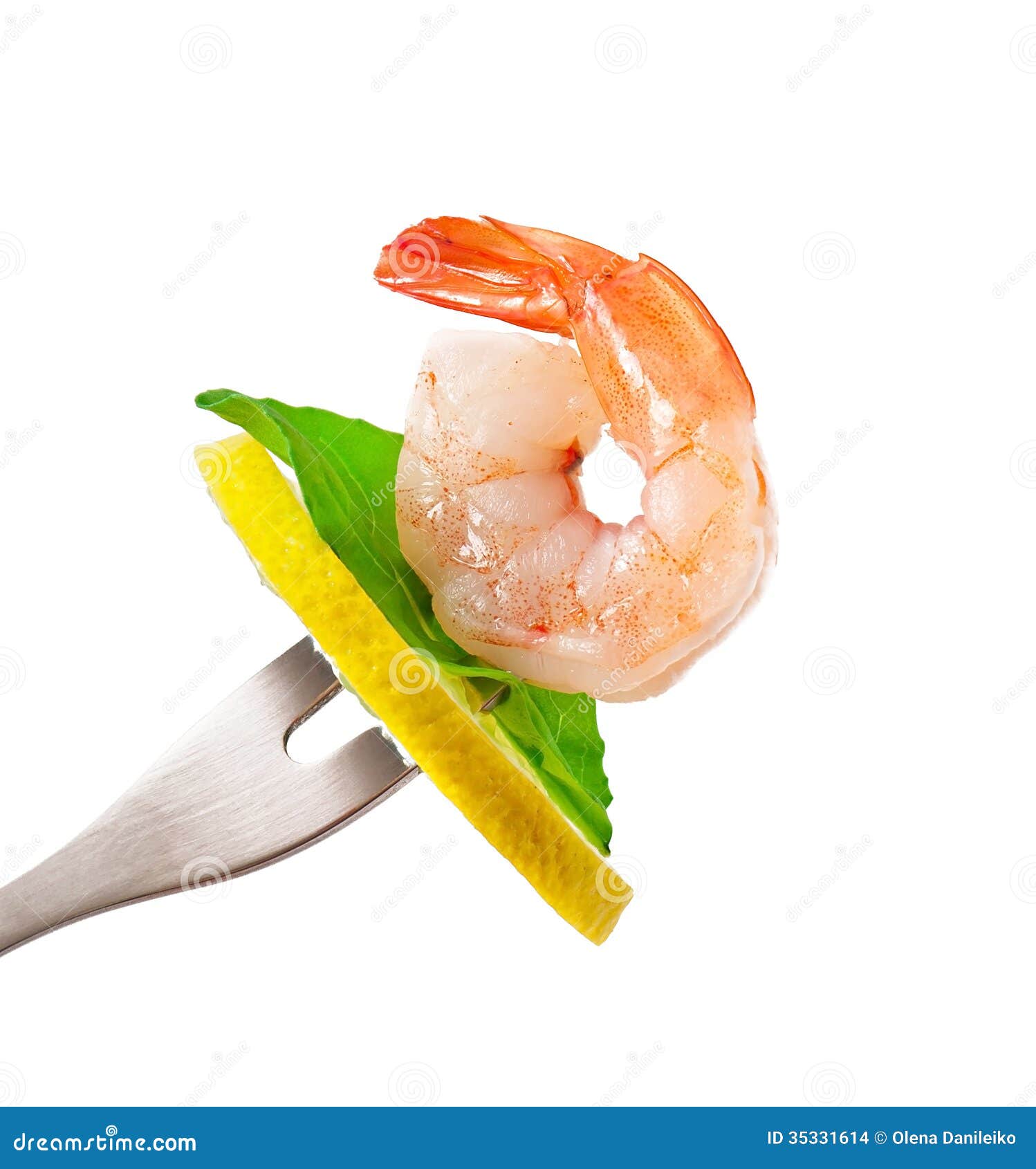 Fork Catch Angelfish In Fishbowl Royalty-Free Stock Photography ...