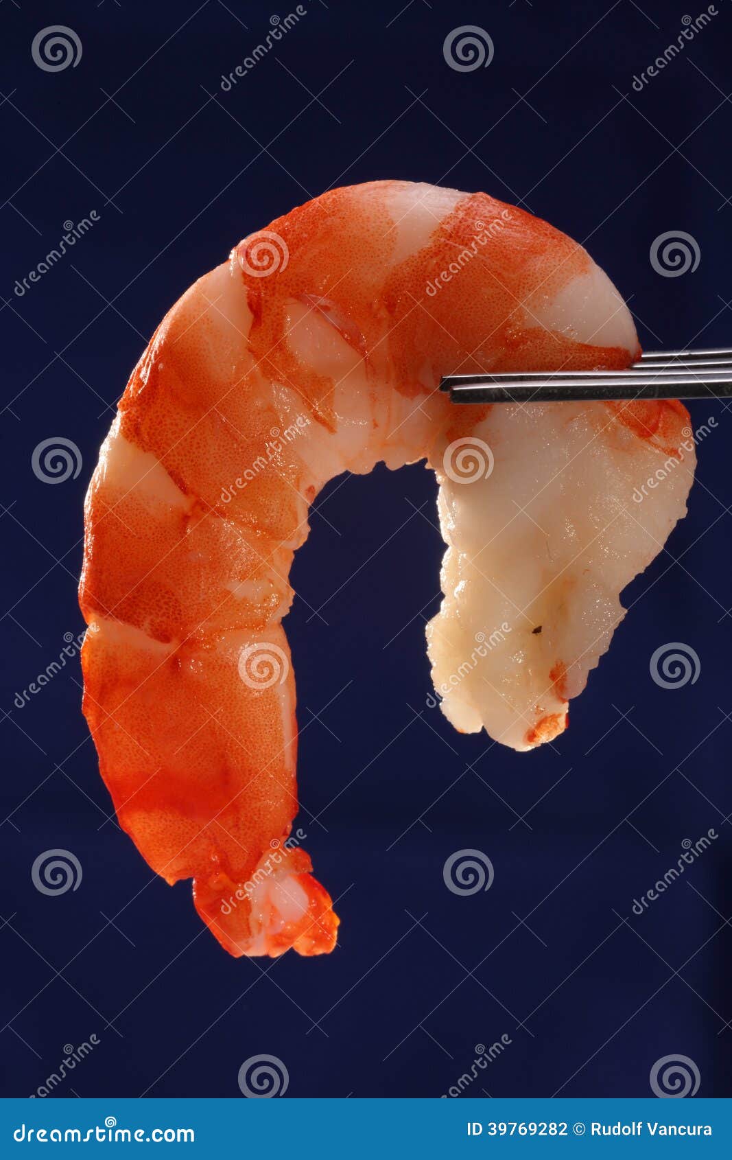 Shrimp on fork stock photo. Image of curled, tool, seafood - 39769282