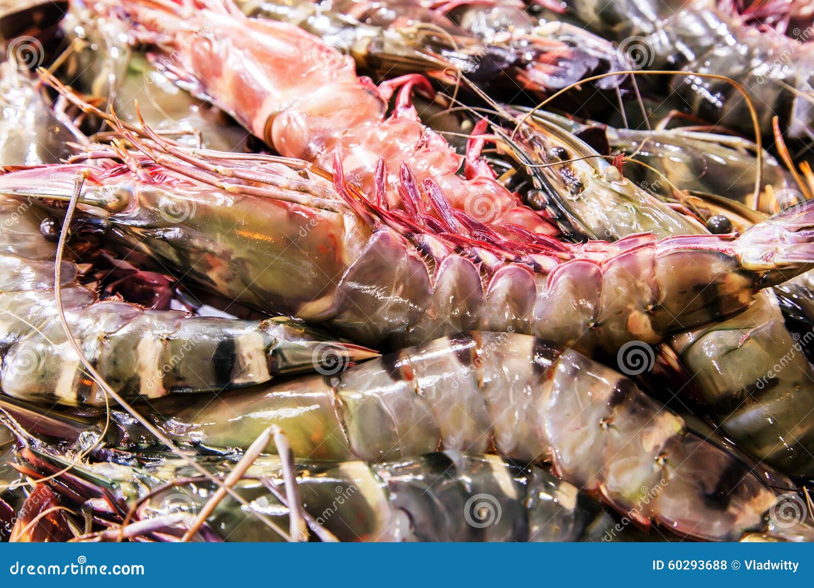 Shrimp fresh stock photo. Image of seafood, desk, seasoned - 60293688