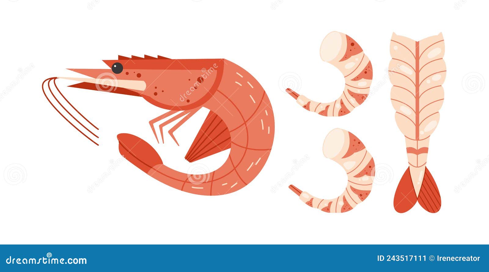Shrimp Geometric Vector Illustration Stock Vector - Illustration of ...