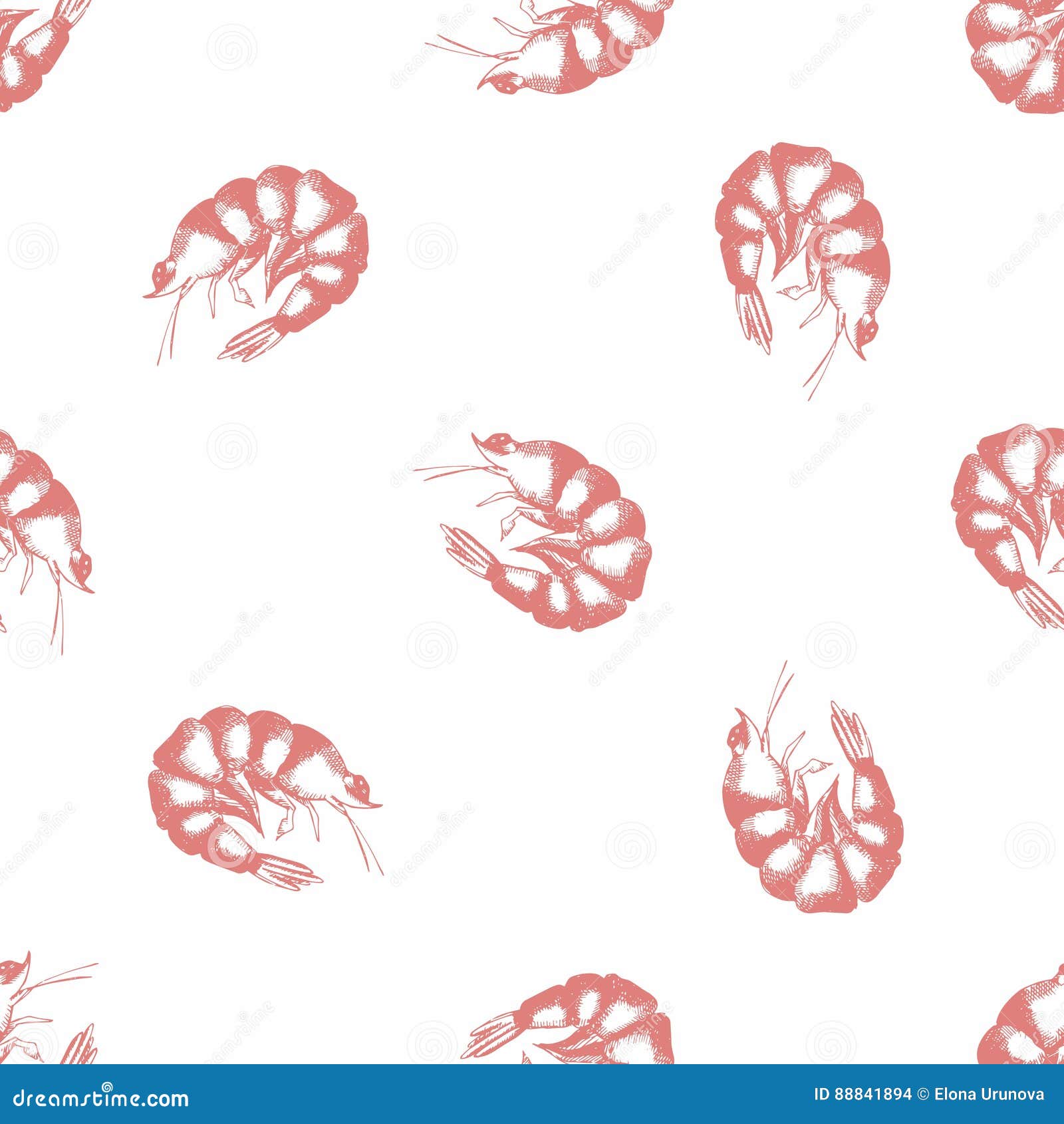Shrimp. Hand Drawing. Seamless Pattern Stock Vector - Illustration of ...