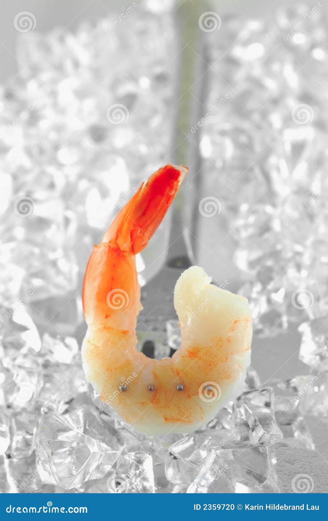Shrimp on Ice stock photo. Image of nutritious, spear - 2359720
