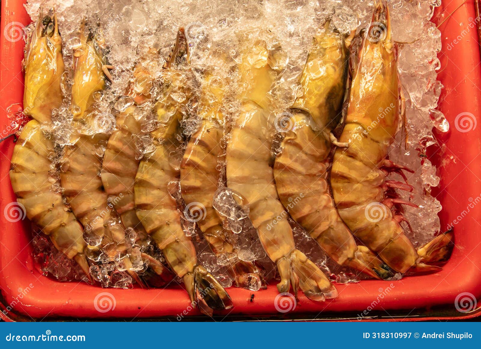 Shrimp on Ice on a Counter in Thailand Stock Image - Image of asia ...