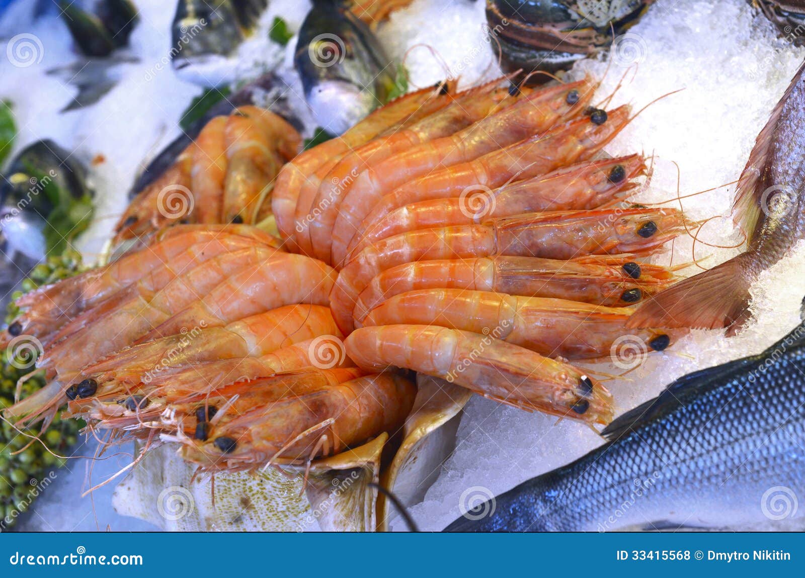 Shrimp in ice stock photo. Image of products, claws, seafood - 33415568