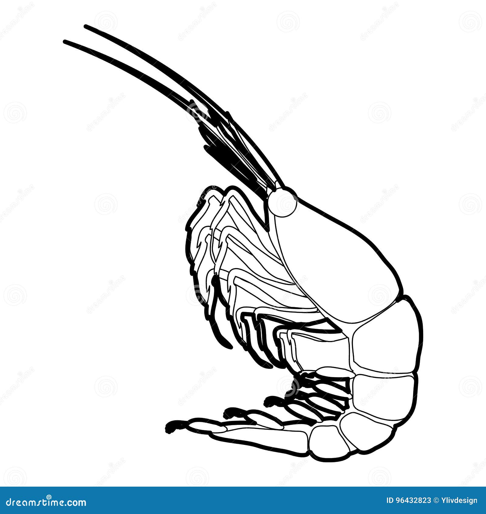 Shrimp icon outline stock vector. Illustration of healthy - 96432823
