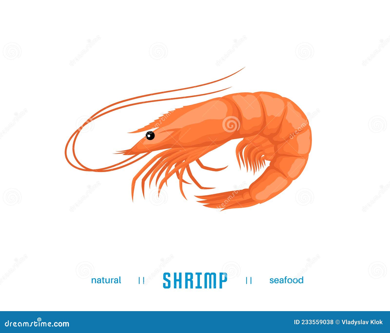 Shrimp. Vector Drawing | CartoonDealer.com #73291792