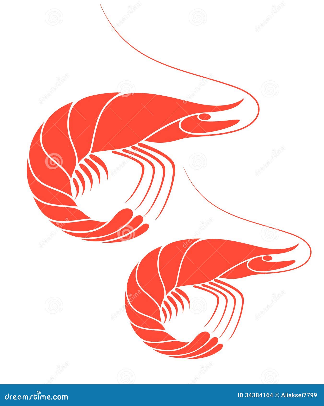 Shrimp stock vector. Illustration of isolated, sign, shrimp - 34384164