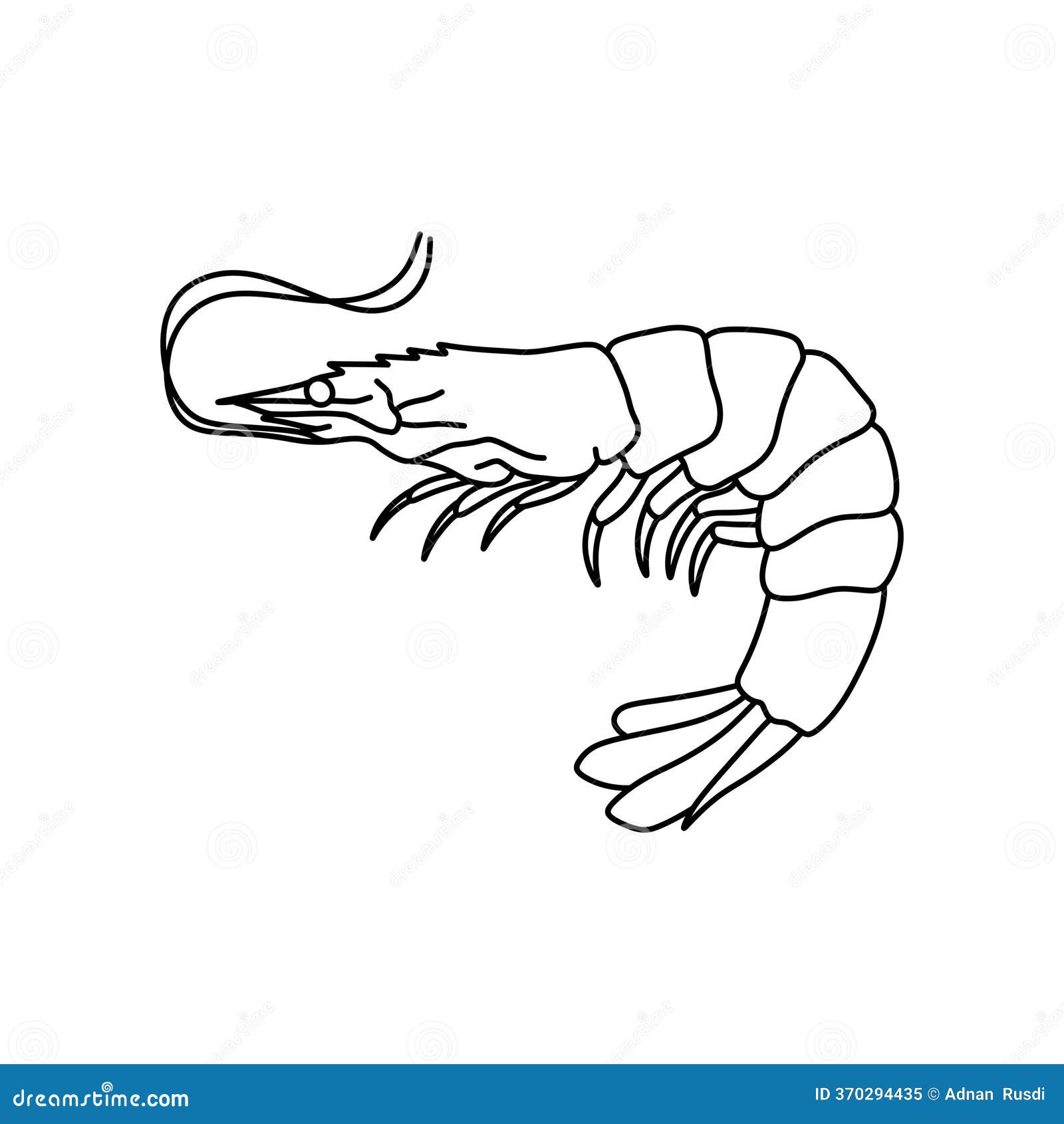 Shrimp Line Art Vector Illustration. Shrimp In Monochrome Style. Shrimp ...
