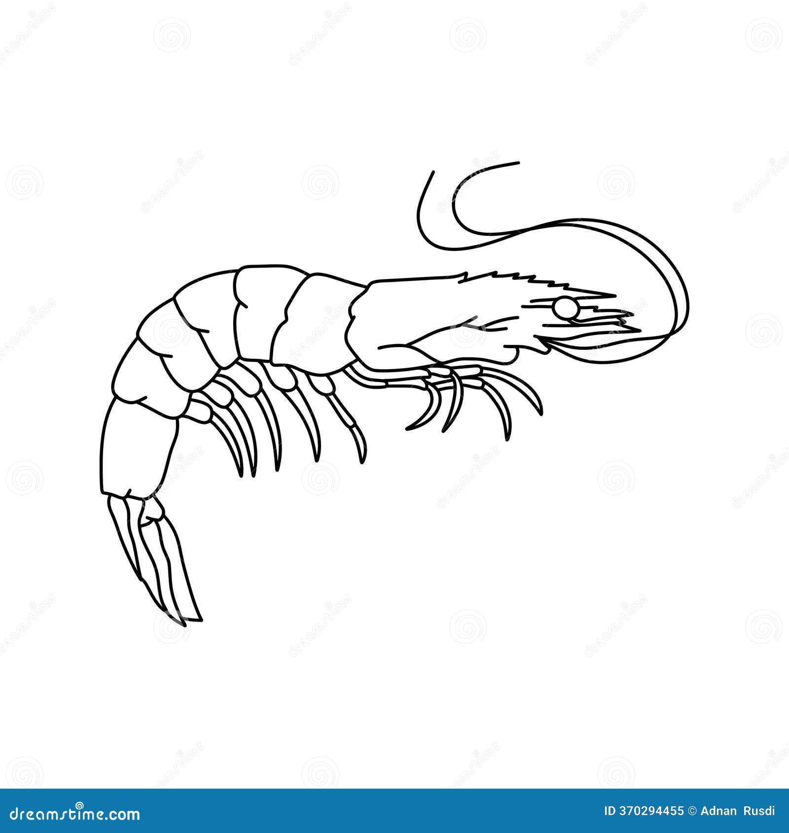 Shrimp Line Art Vector Illustration. Shrimp In Monochrome Style. Shrimp ...