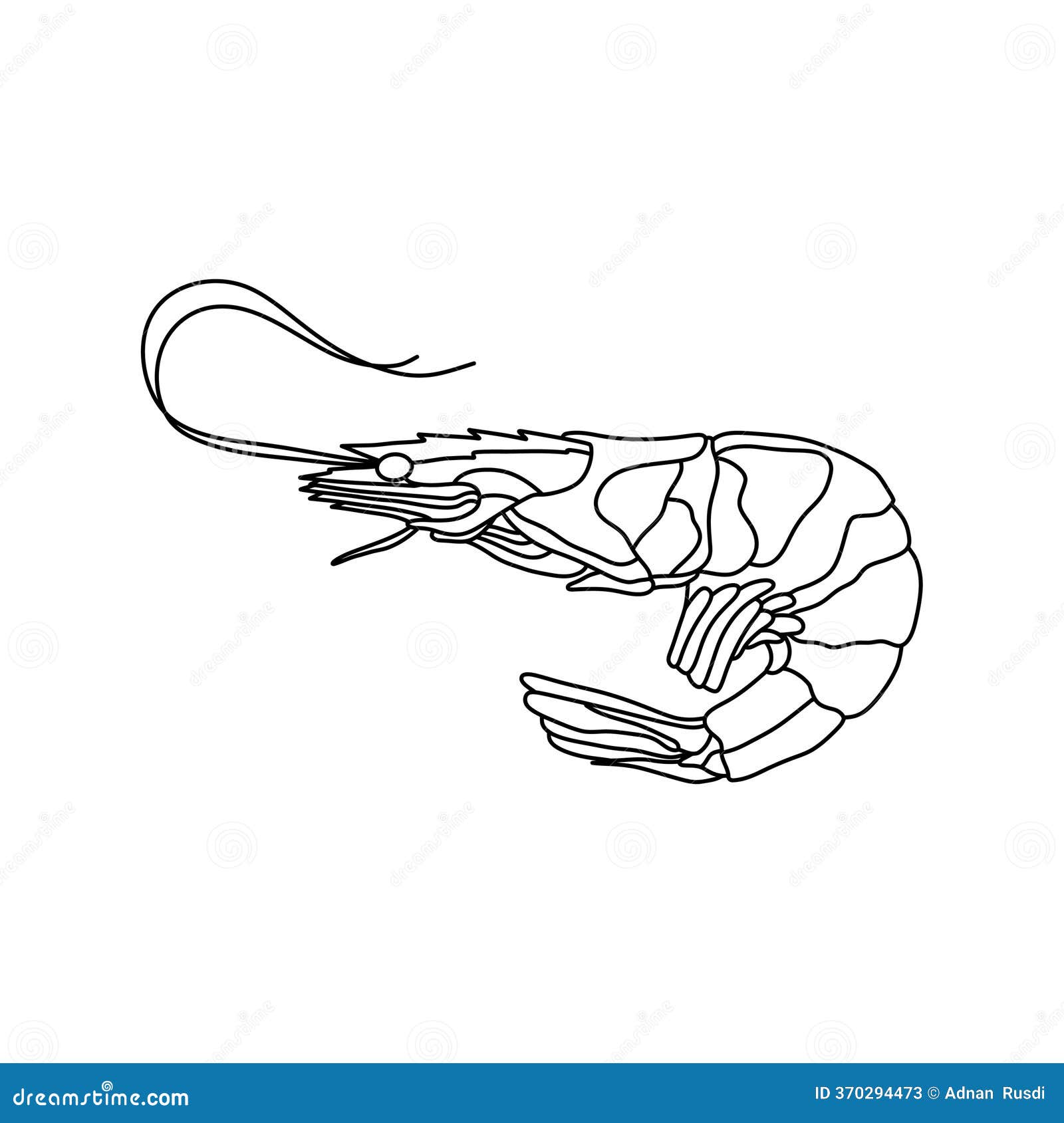 Shrimp Line Art Vector Illustration. Shrimp In Monochrome Style. Shrimp ...