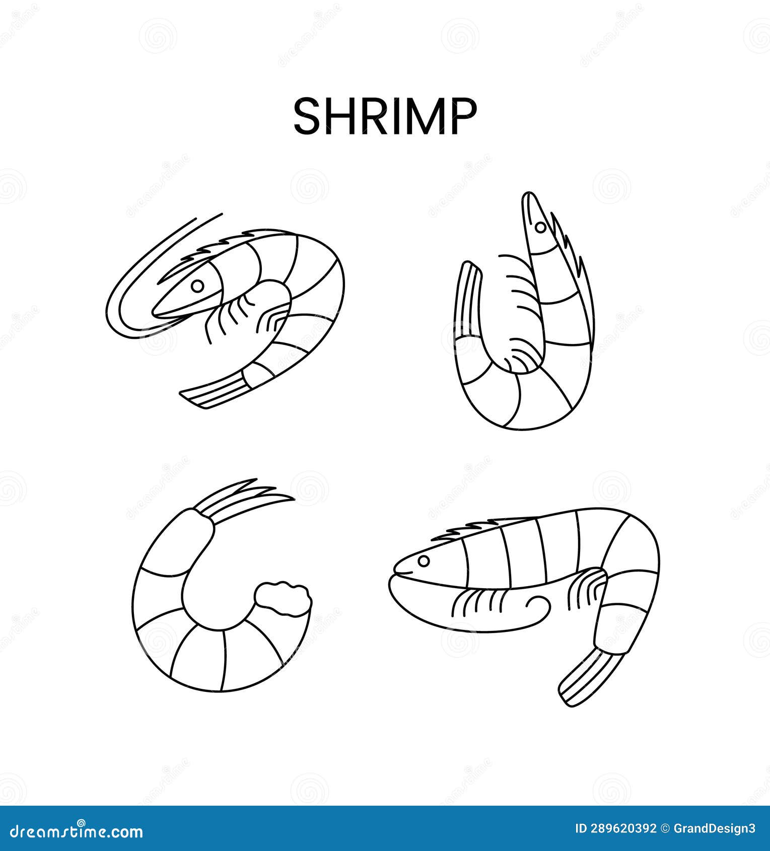 Shrimp Line Icons Set Vector. Seafood Illustration. Stock Vector ...