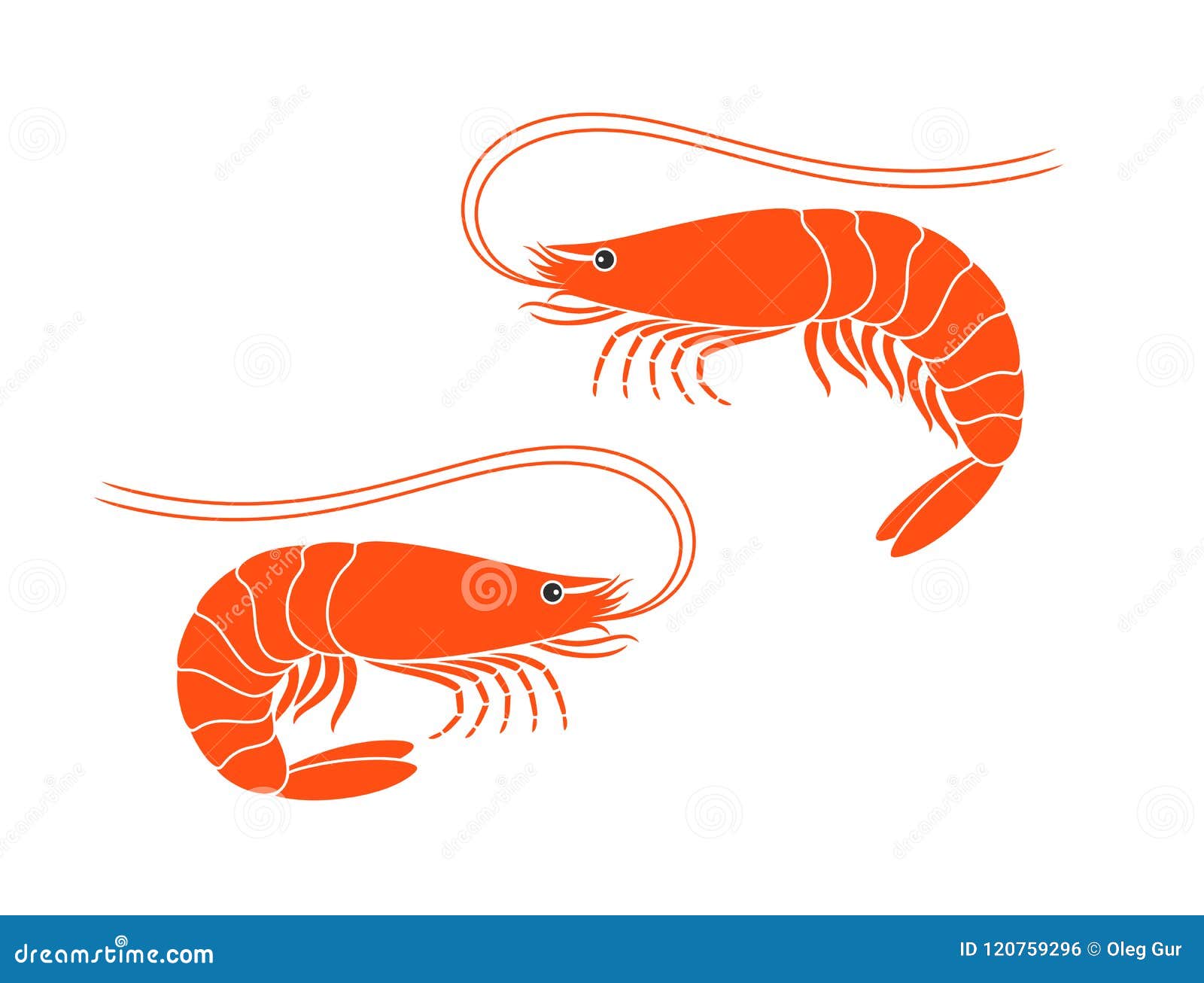 Shrimp Logo. Isolated Shrimp on White Background Stock Vector ...