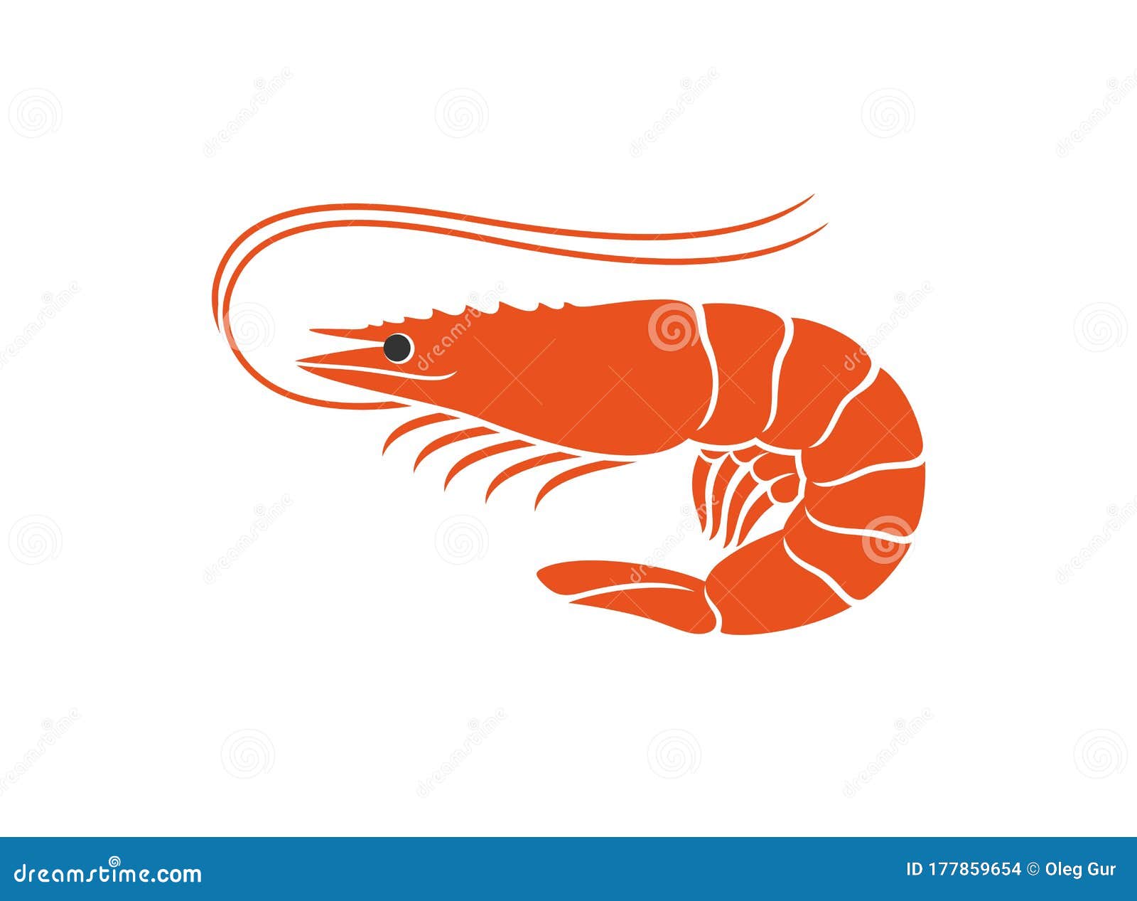 Shrimp Logo. Isolated Shrimp On White Background. Prawns Vector ...