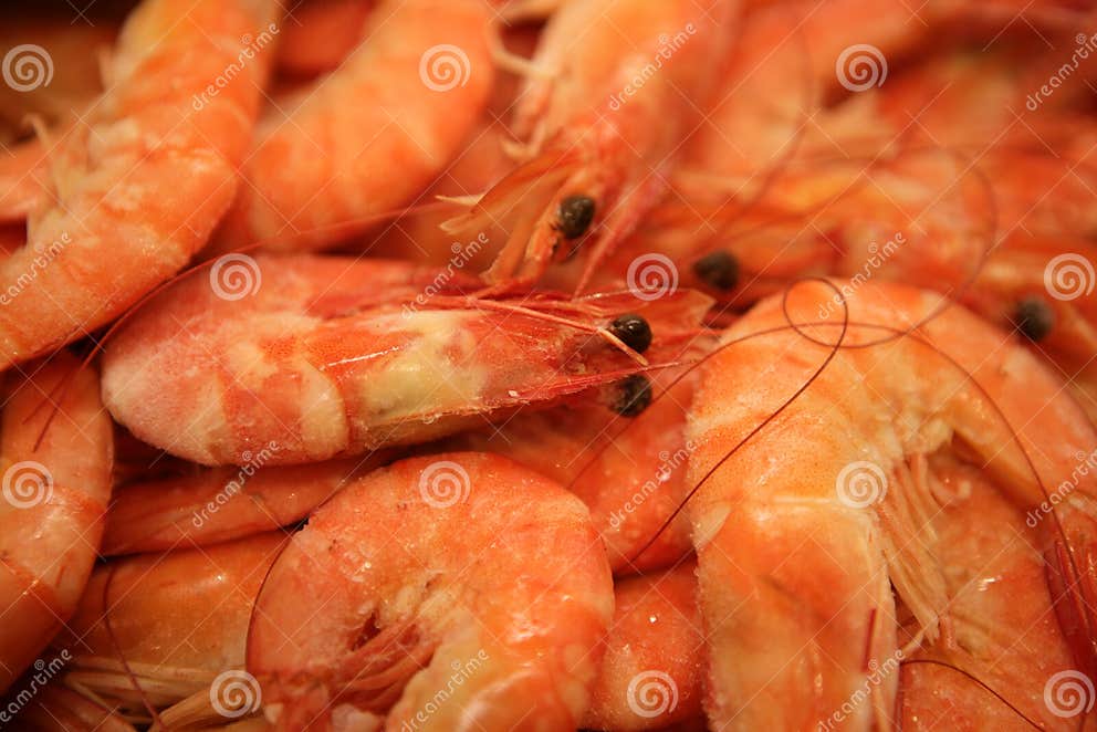 Shrimp Macro Texture, Many Orange Prawns Stock Photo - Image of ...