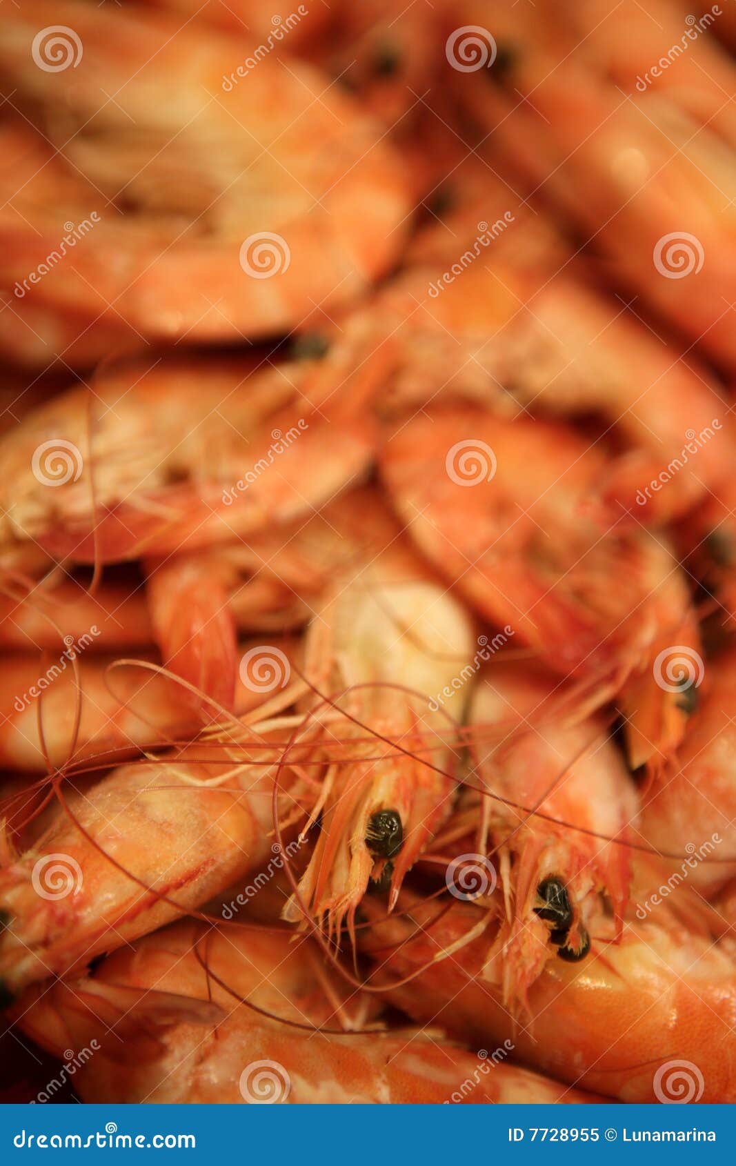Shrimp Macro Texture, Many Orange Prawns Stock Image - Image of food ...
