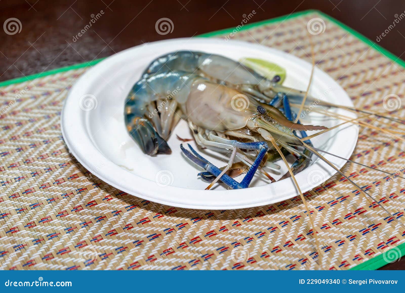 Shrimp Macrobrachium Rosenberg Macrobrachium Rosenbergii Fresh Water on ...