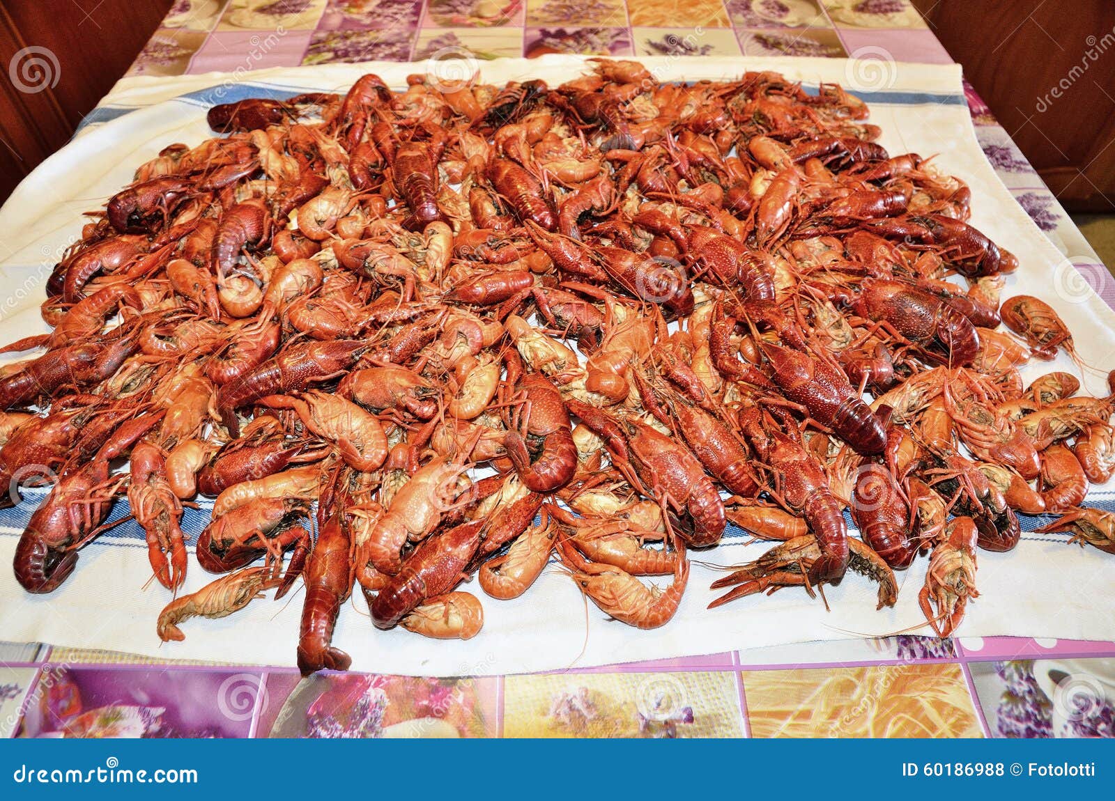 Shrimp stock photo. Image of american, shellfish, fish - 60186988