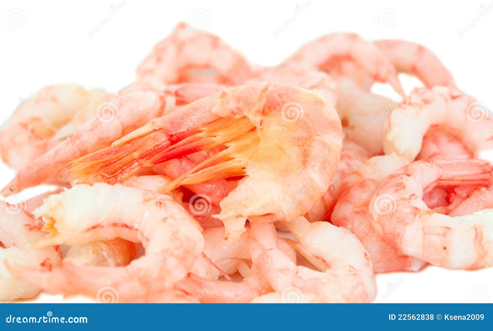 Shrimp meat stock photo. Image of ingredient, orange - 22562838