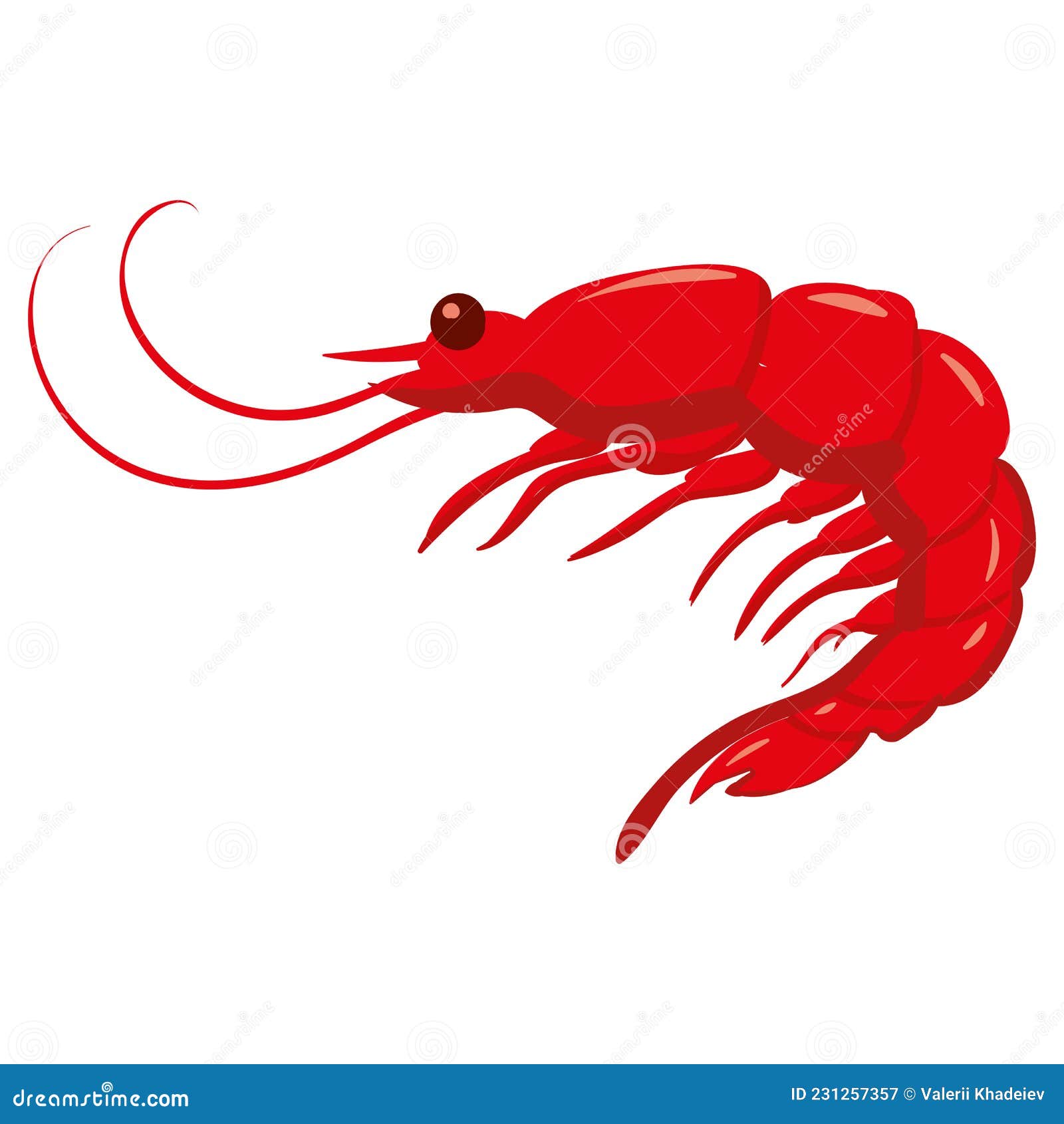Shrimp Natural Healthy Organic Nutrition Product Prawn Vector Doodle