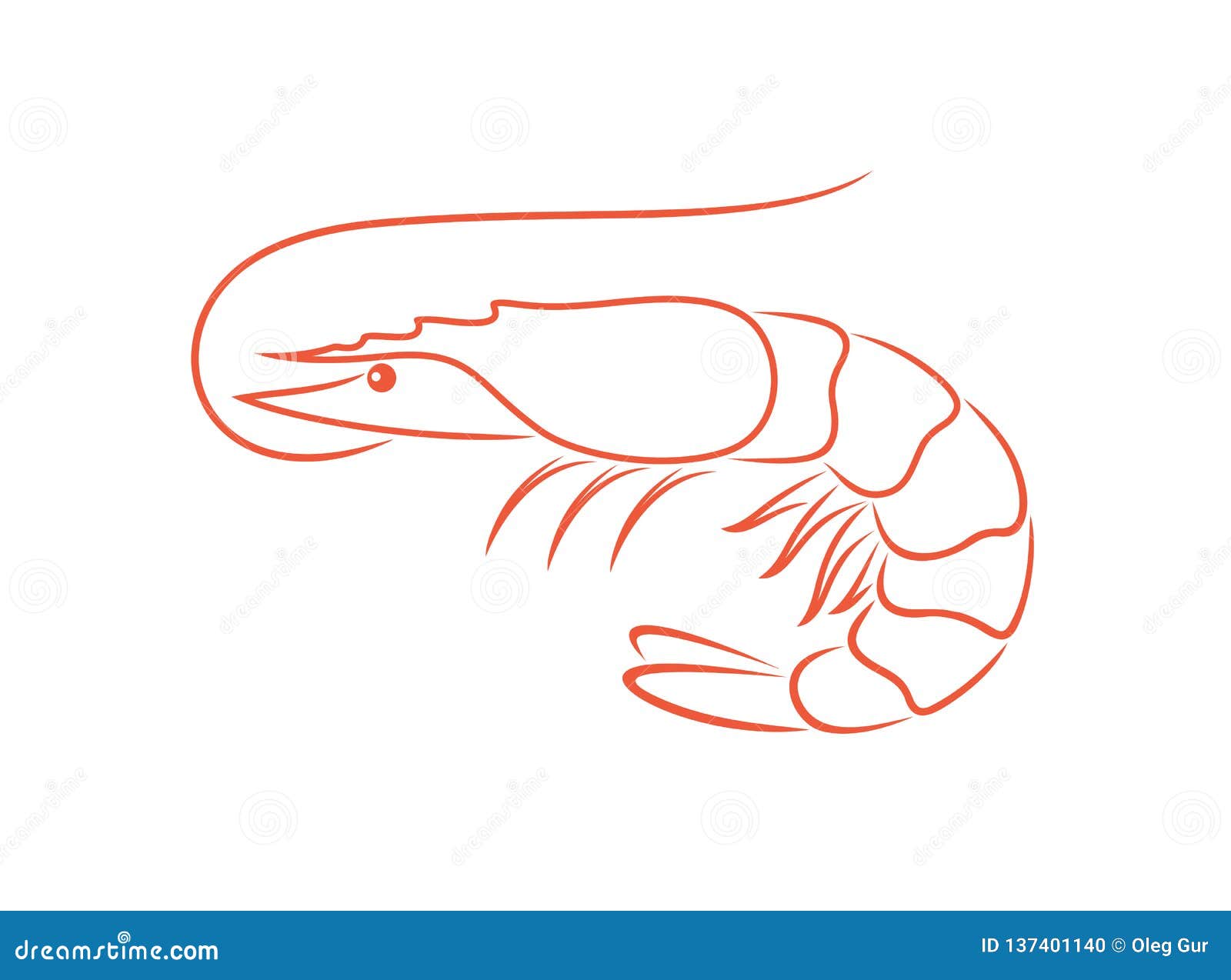 Shrimp. Outline Drawing Sketch Illustration. Royalty-Free Stock ...