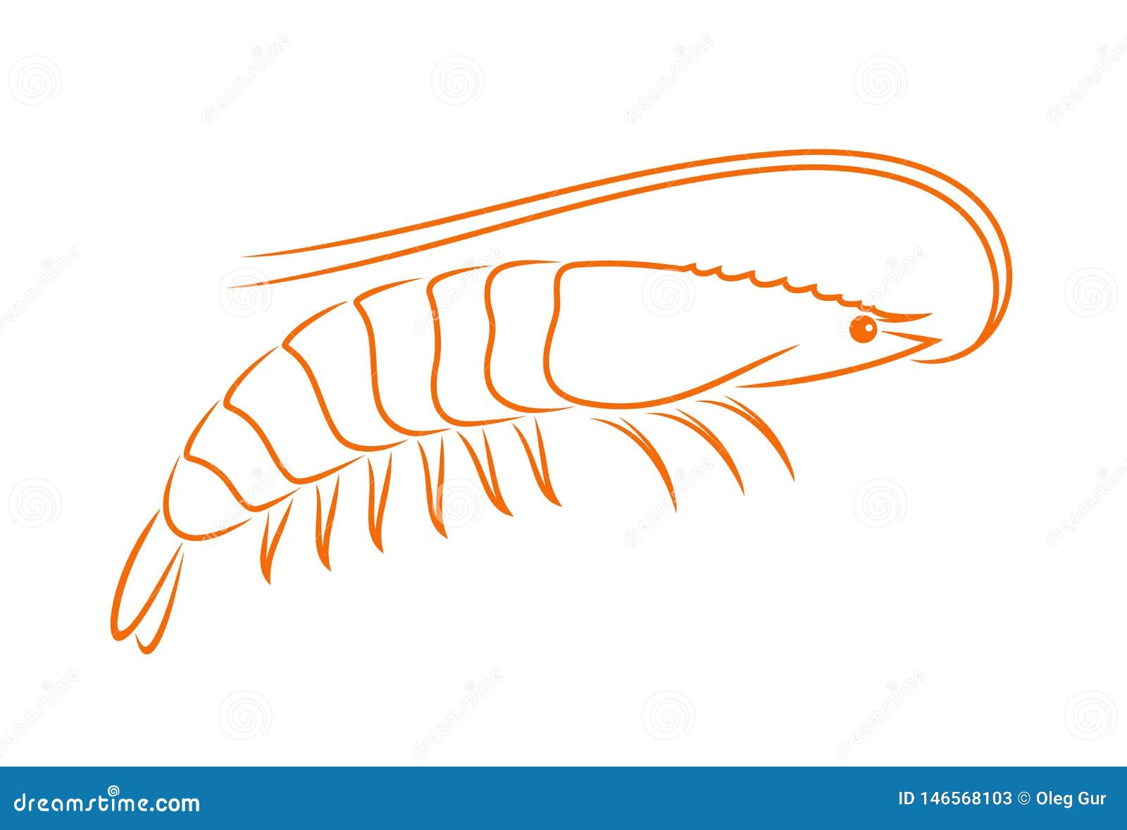 Shrimp. Outline Drawing Sketch Illustration. Royalty-Free Stock ...