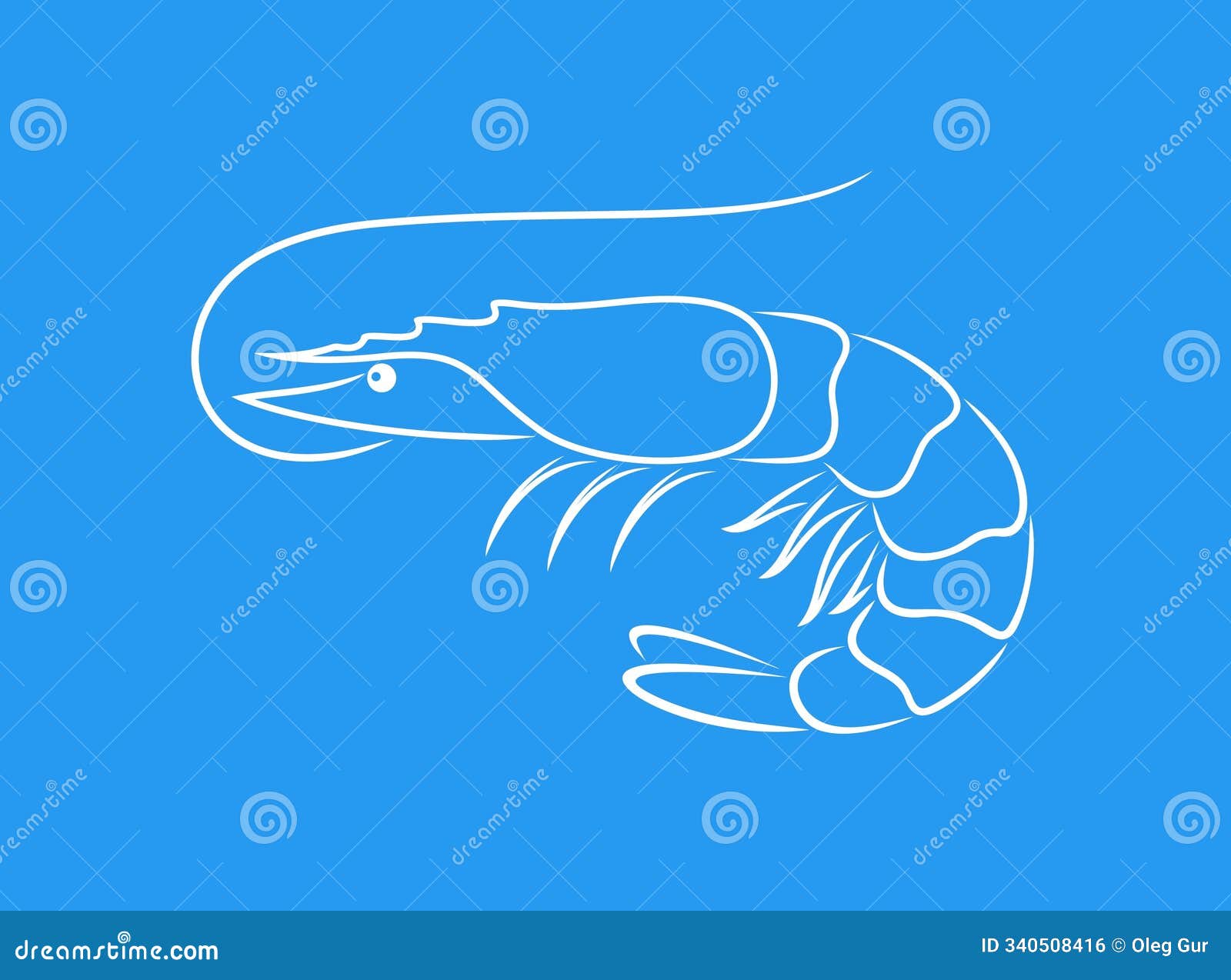 Shrimp Outline. Isolated Shrimp On White Background. Prawns Outline ...
