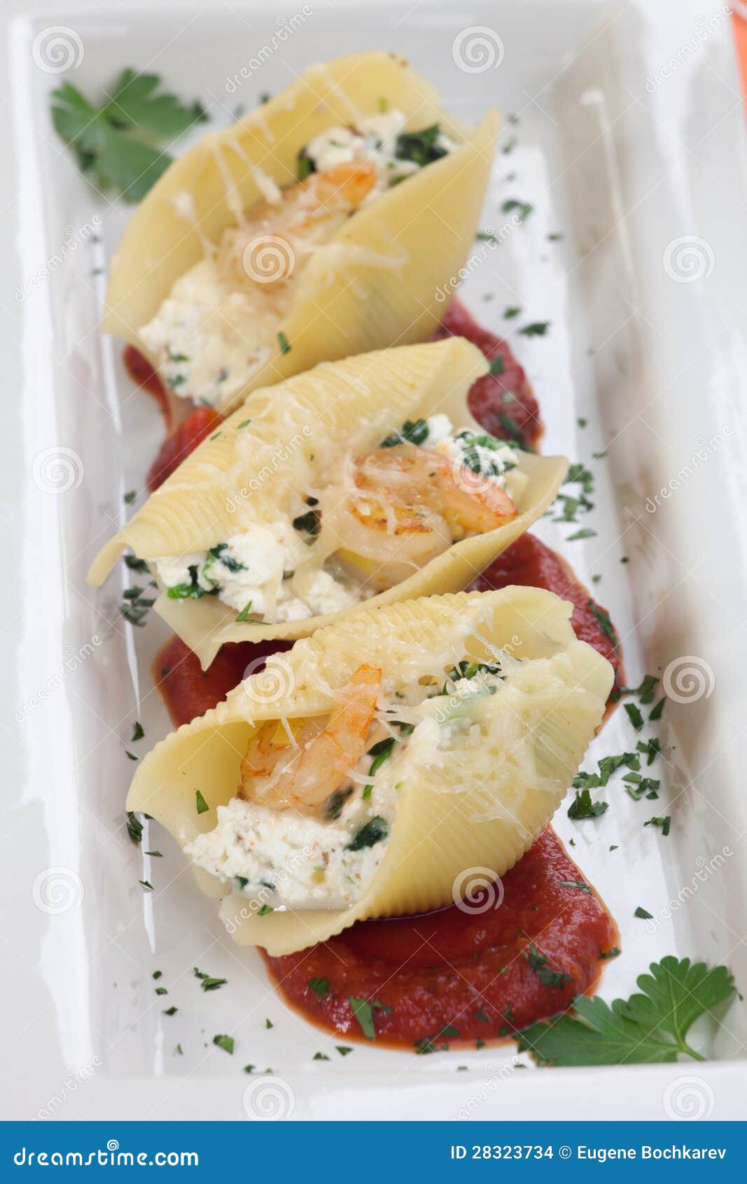 Shrimp Pasta Shells stock photo. Image of shells, food - 28323734