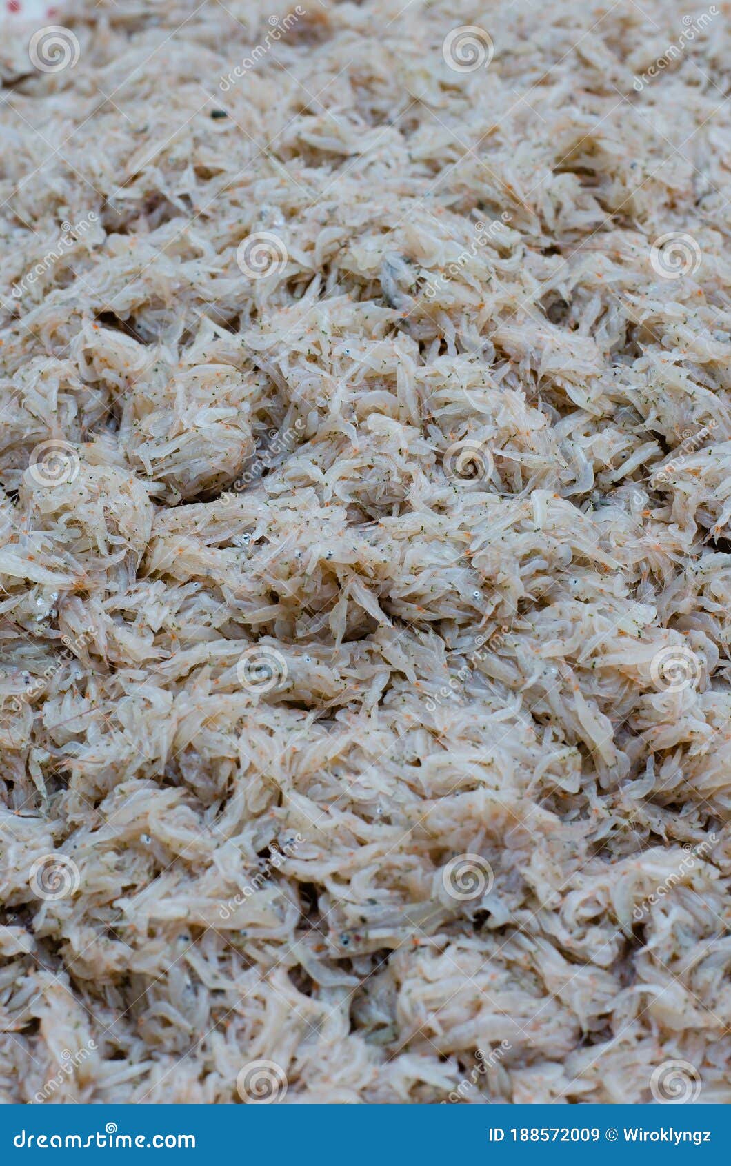 Fresh Shrimp or Krill or Scientific Name is Euphausiacea To Make the ...