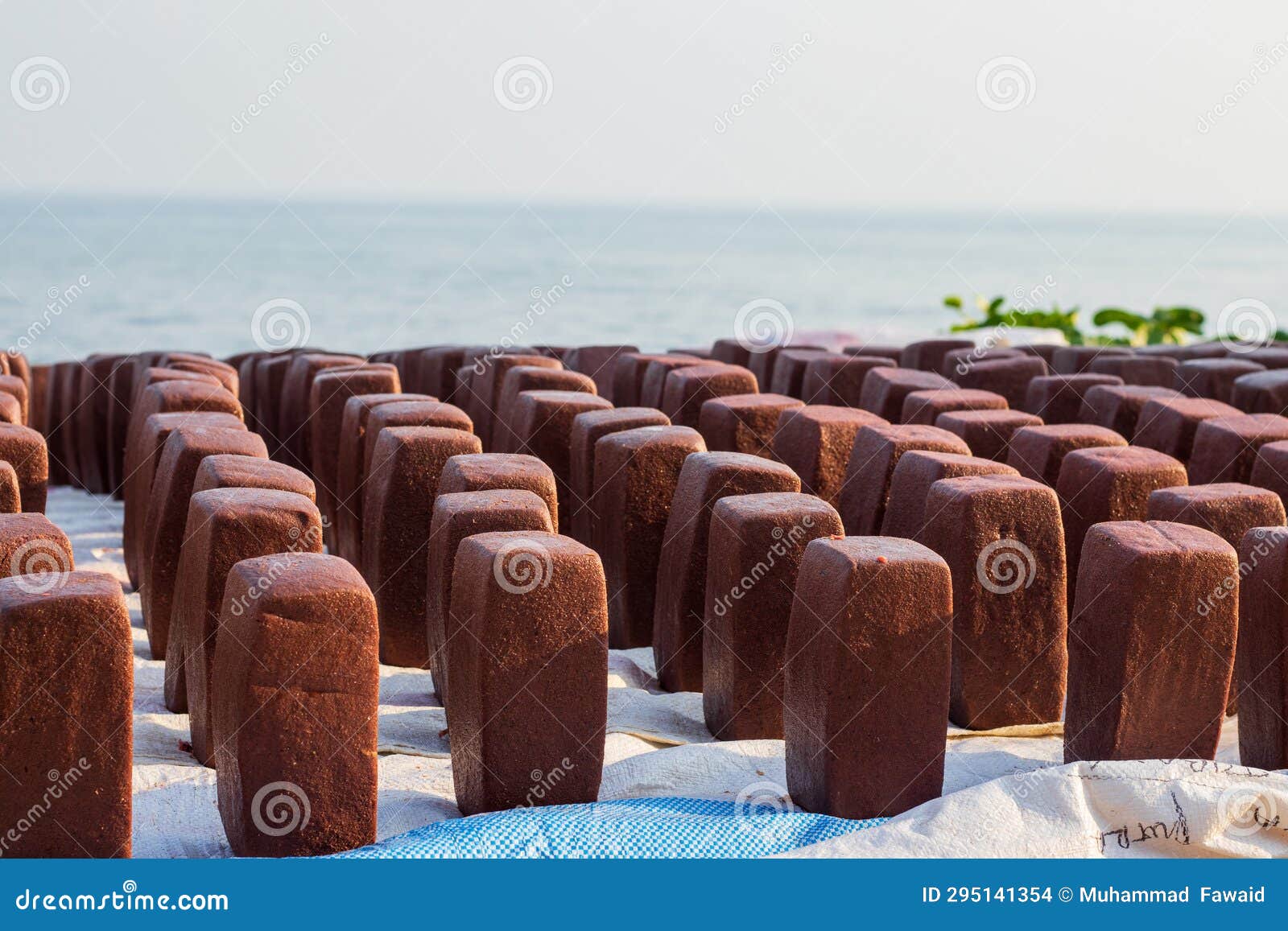 Shrimp Paste Block Made Traditionally and Sun-dried Outdoors Stock ...