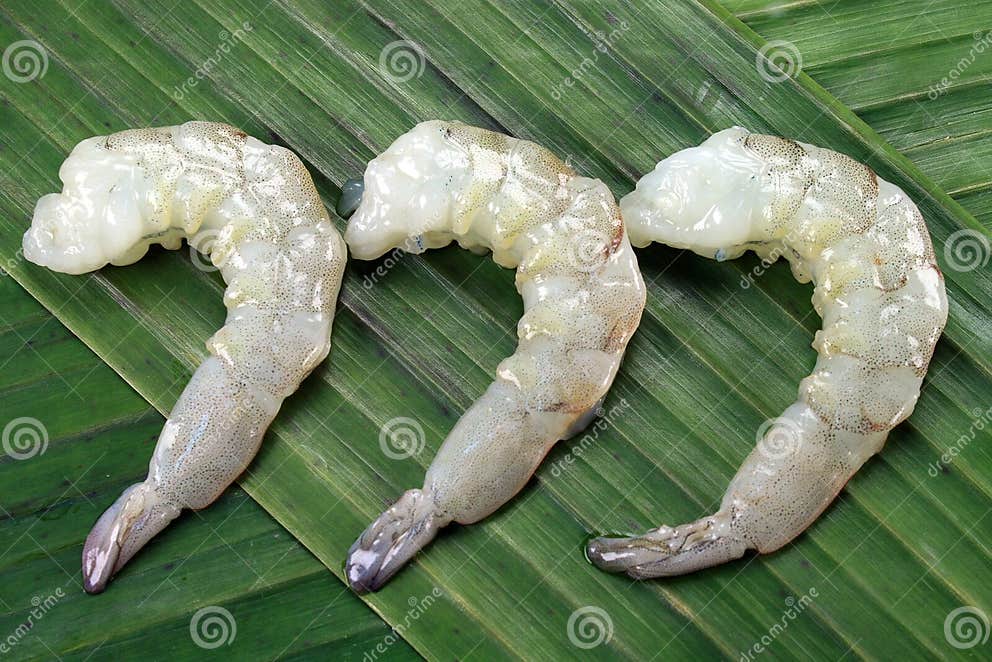 Shrimp PD Tail-off stock photo. Image of devain, leaf - 65945072