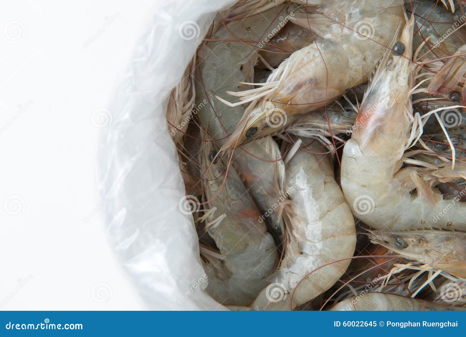 Shrimp in plastic bag stock image. Image of heap, background - 60022645