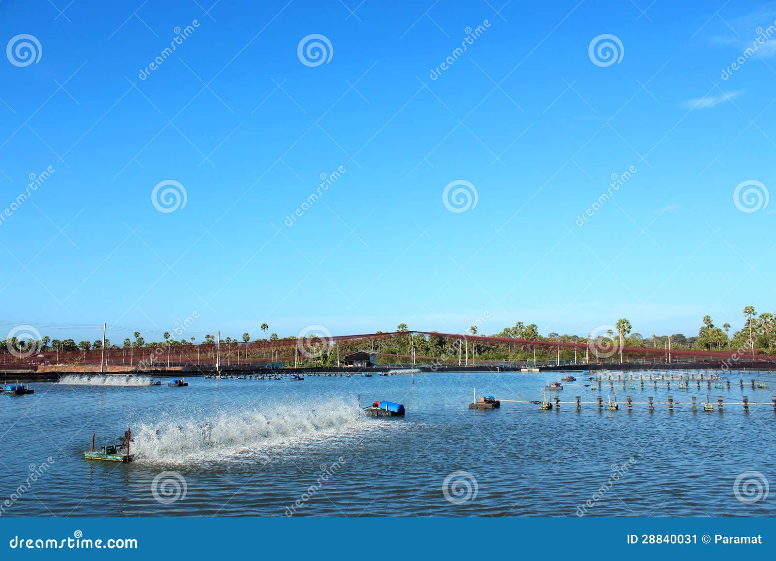 Shrimp Pond stock image. Image of cultivation, farm, outdoor - 28840031