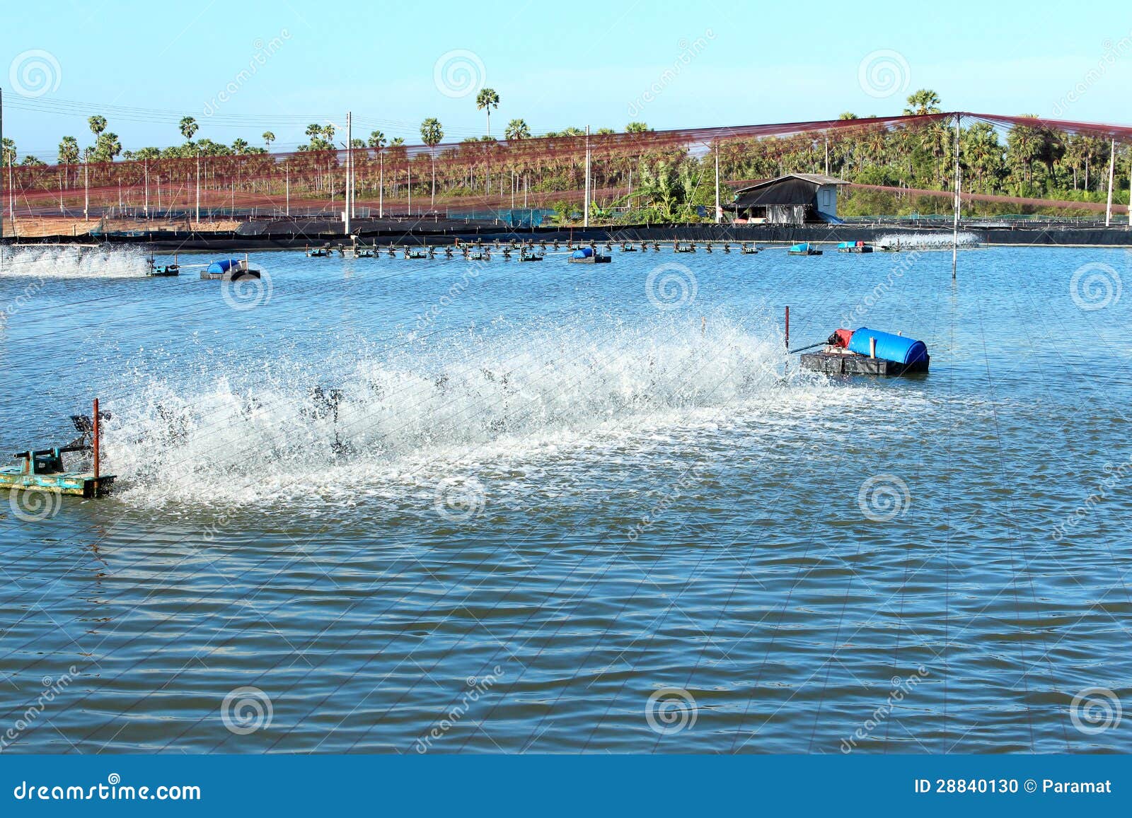 Shrimp Pond stock photo. Image of lake, aeration, breeding - 28840130