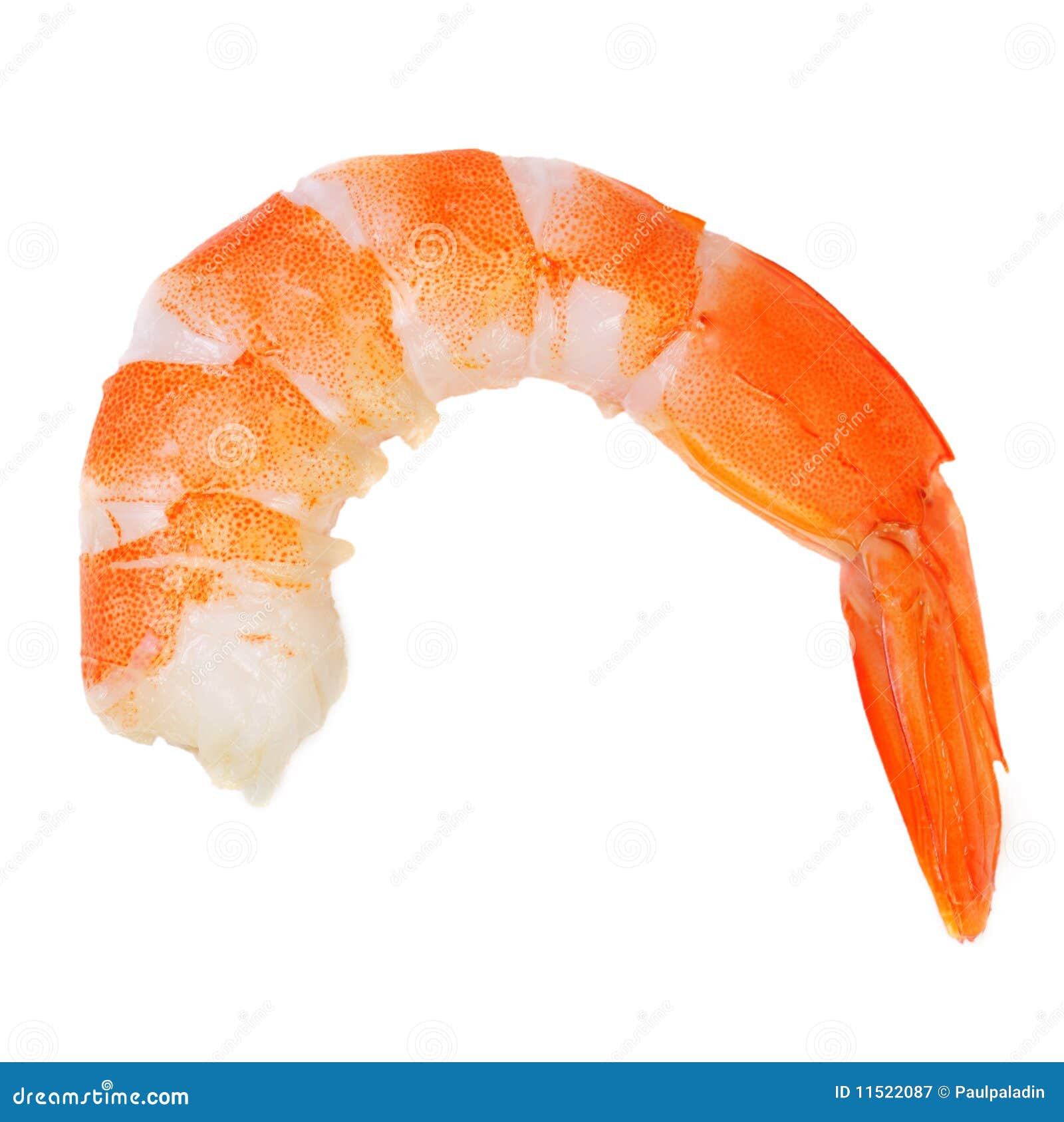 Shrimp s tail stock image. Image of cooked, seafood, shellfish - 11522087