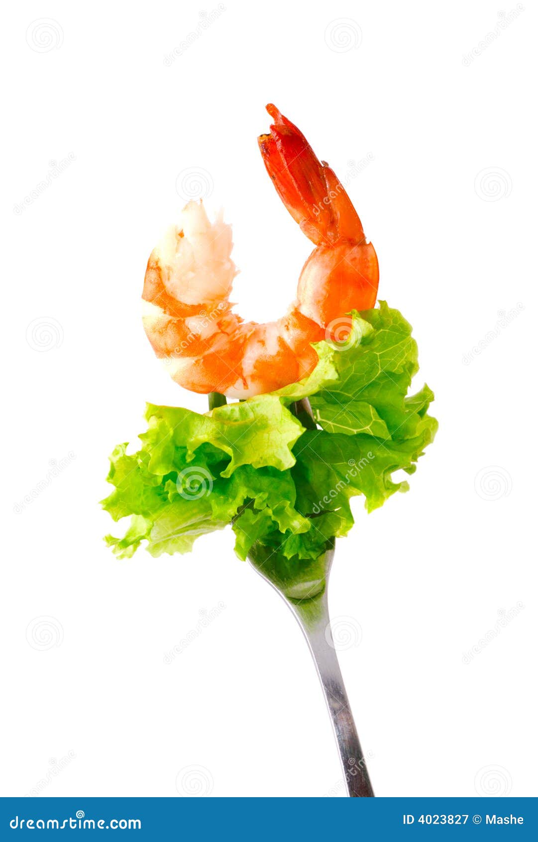 2,798 Beauty Shrimp Stock Photos - Free & Royalty-Free Stock Photos ...